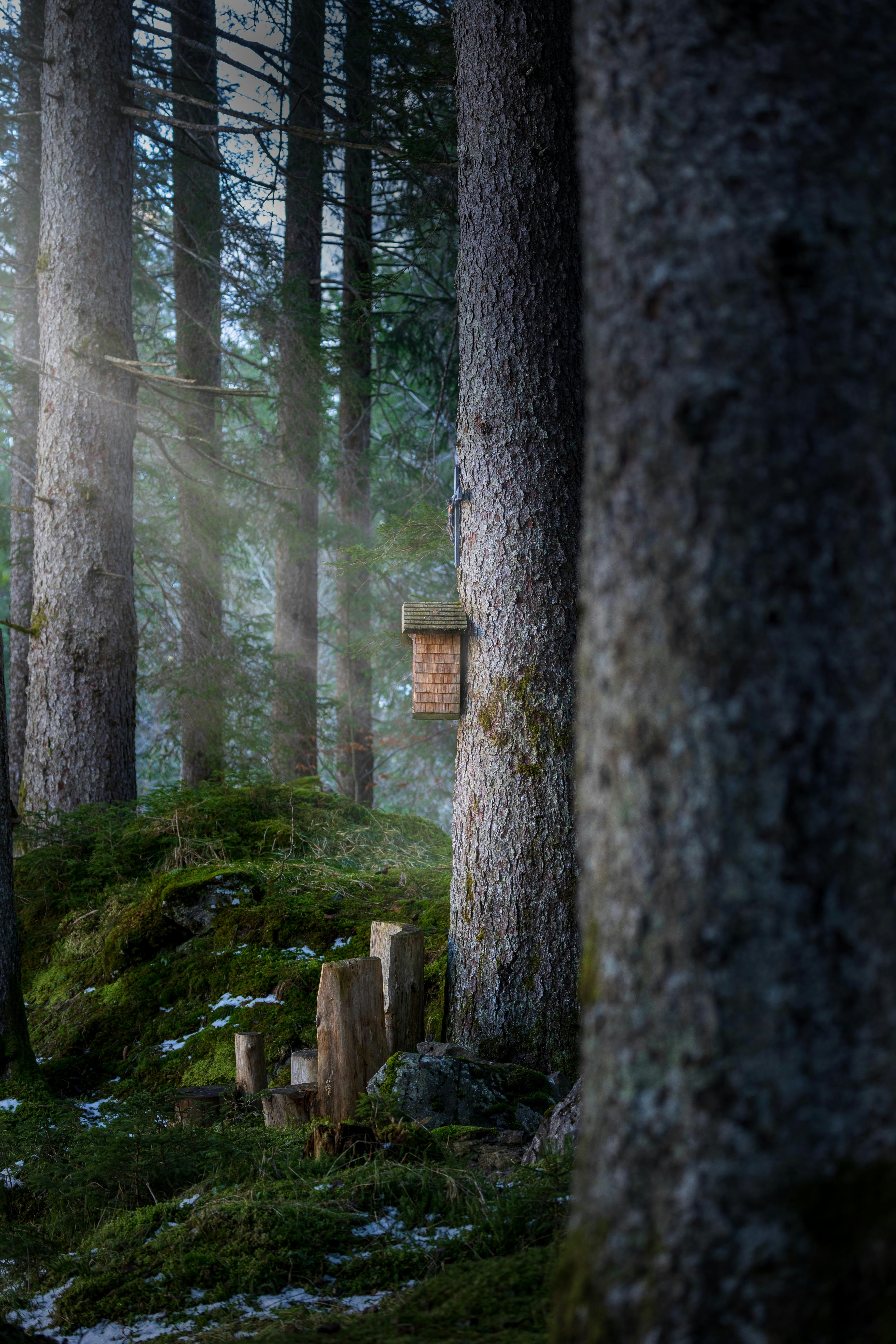 Photo by Aimar Gallardo with Canon EOS R6