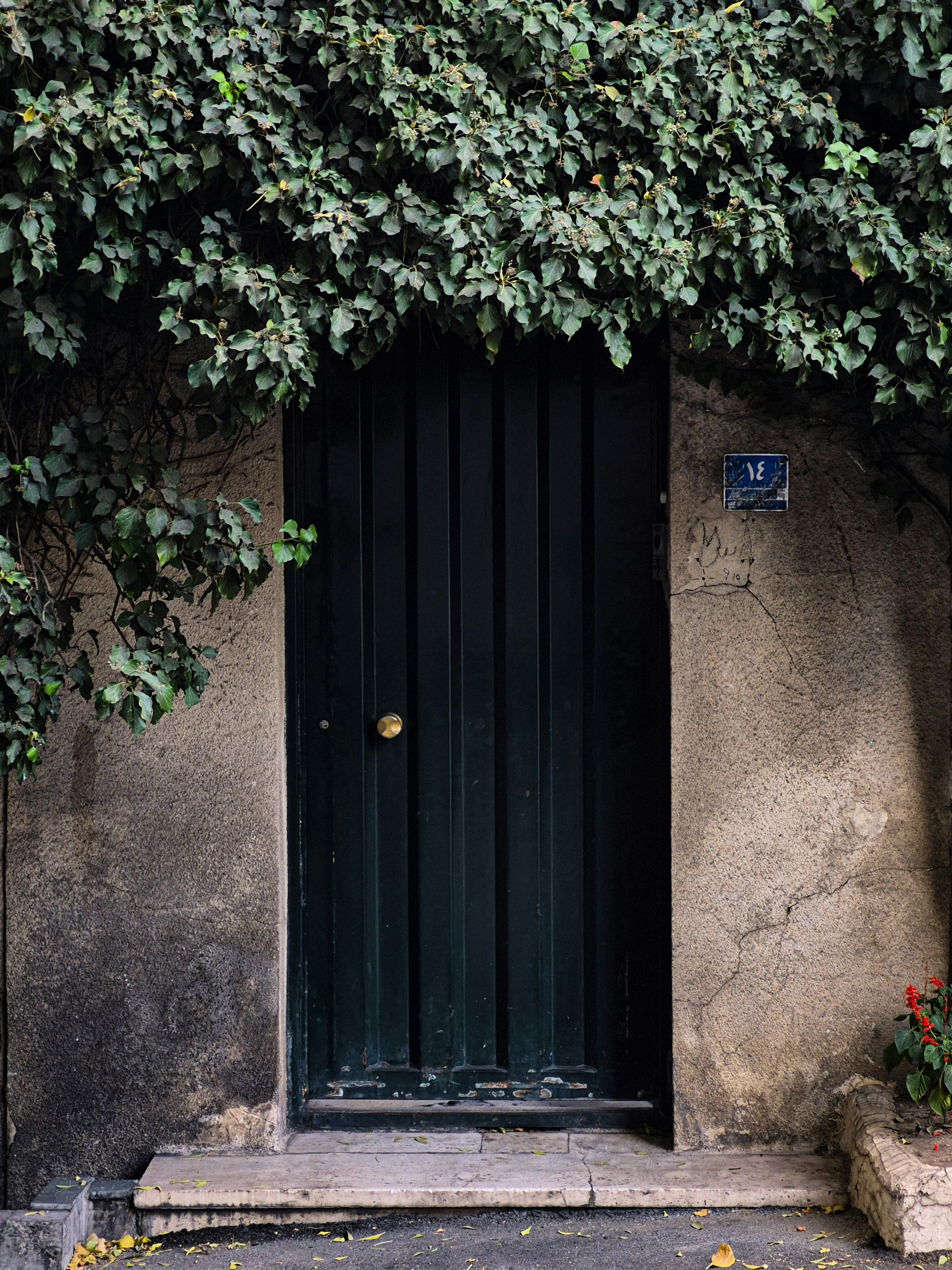 Dark green door covered by ivy on stone wall