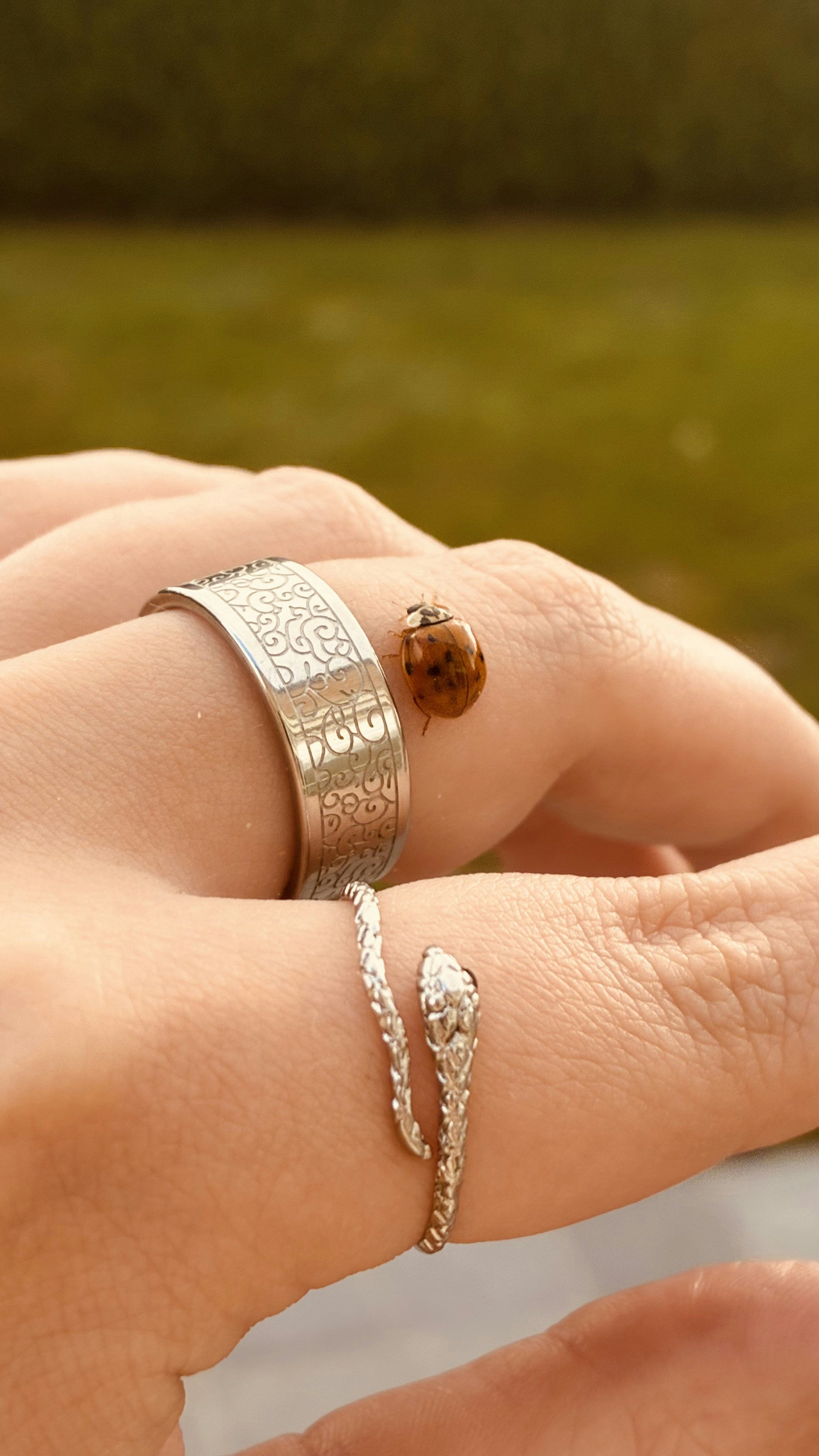 A ladybug rests on a hand wearing rings.