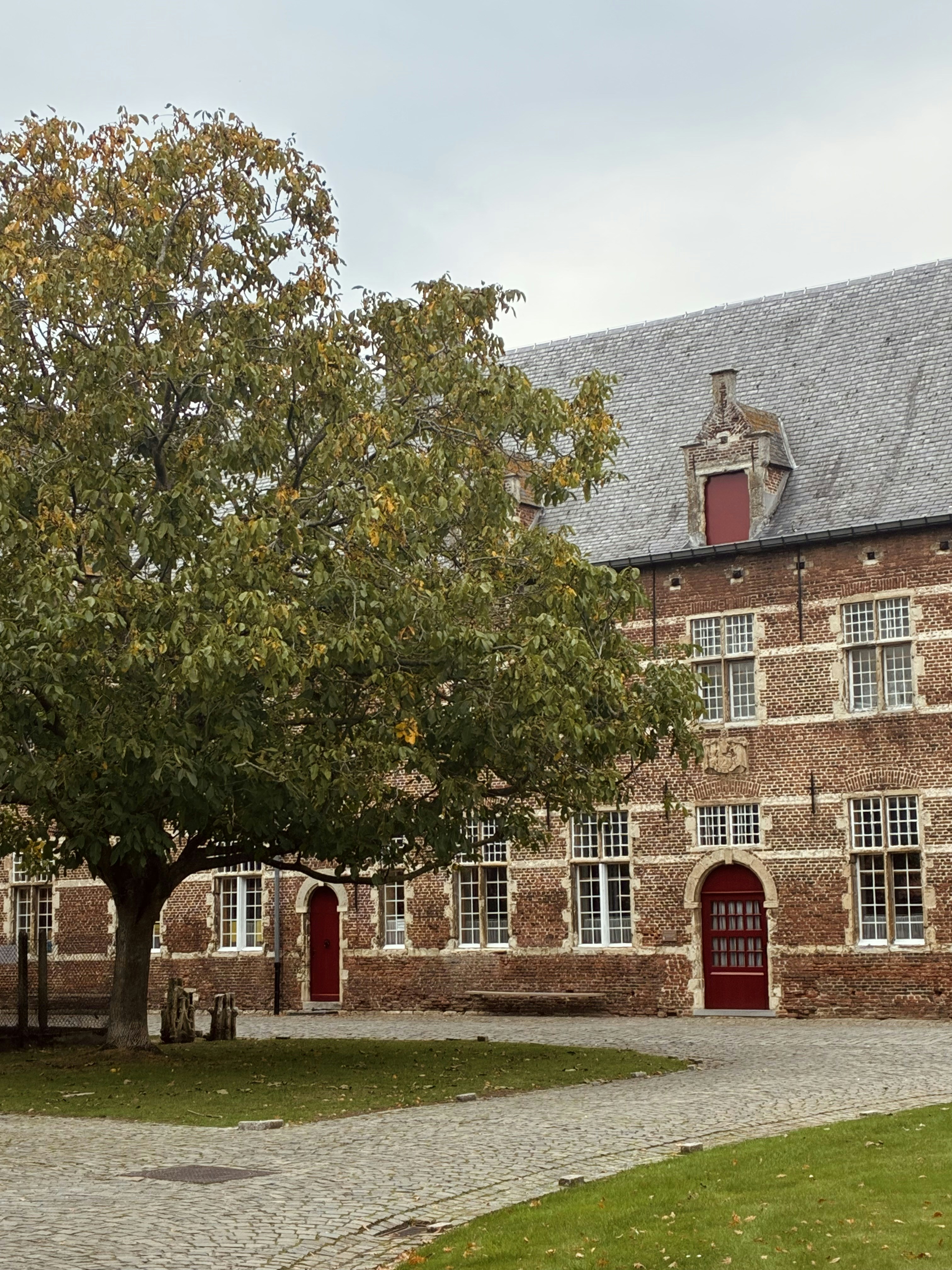 Photo by Lara Bellens with Apple iPhone 16e