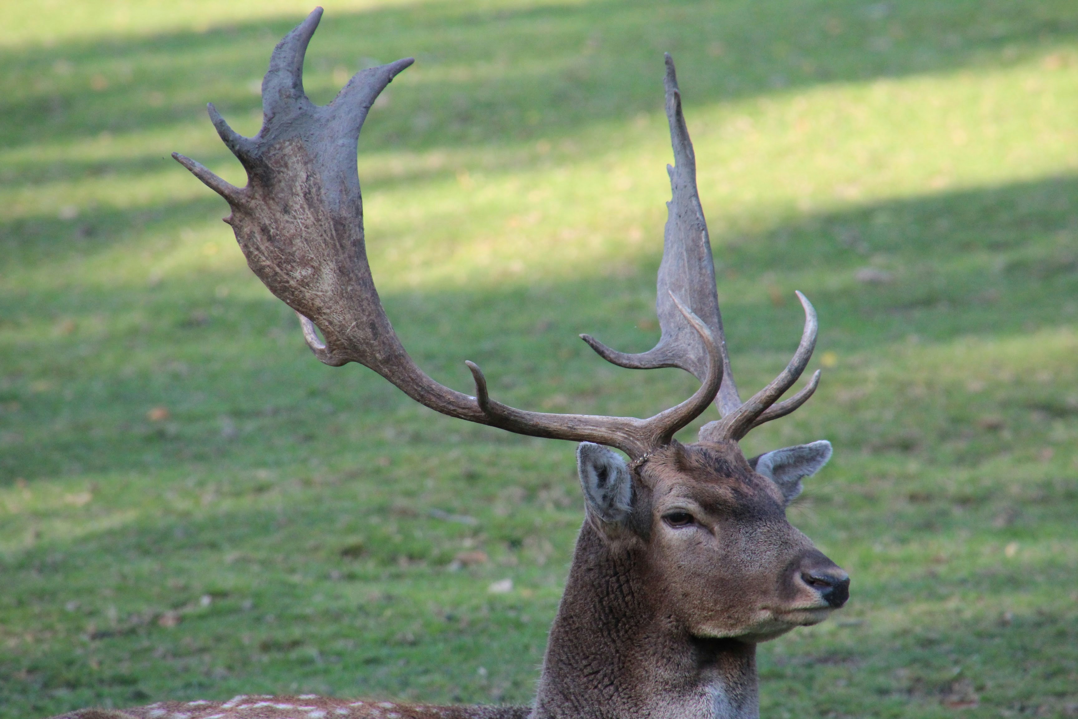 Photo by Szcze hoo with Canon EOS 600D