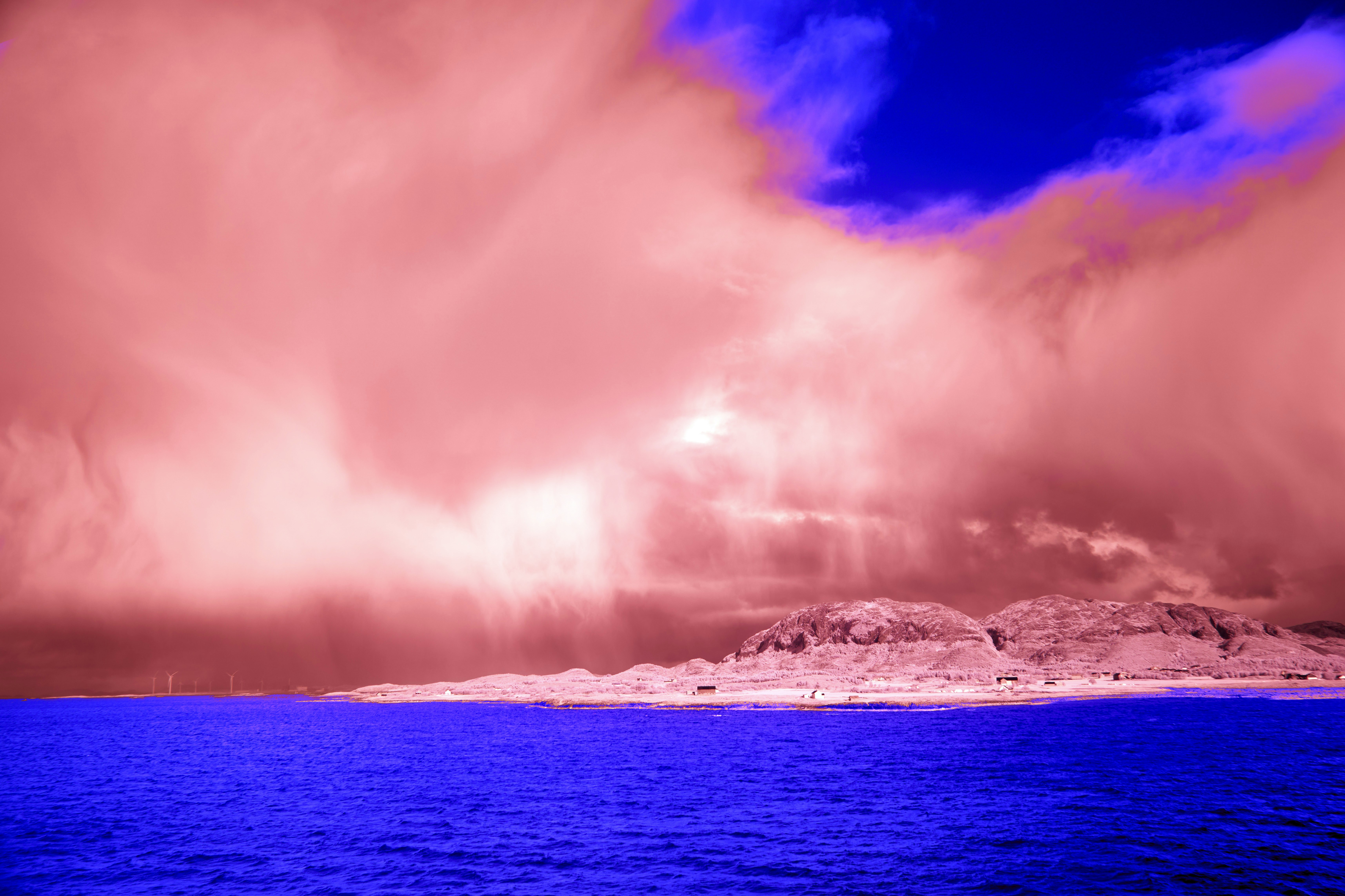 Photo by Wolfgang Hasselmann with Sony Alpha 7 IV