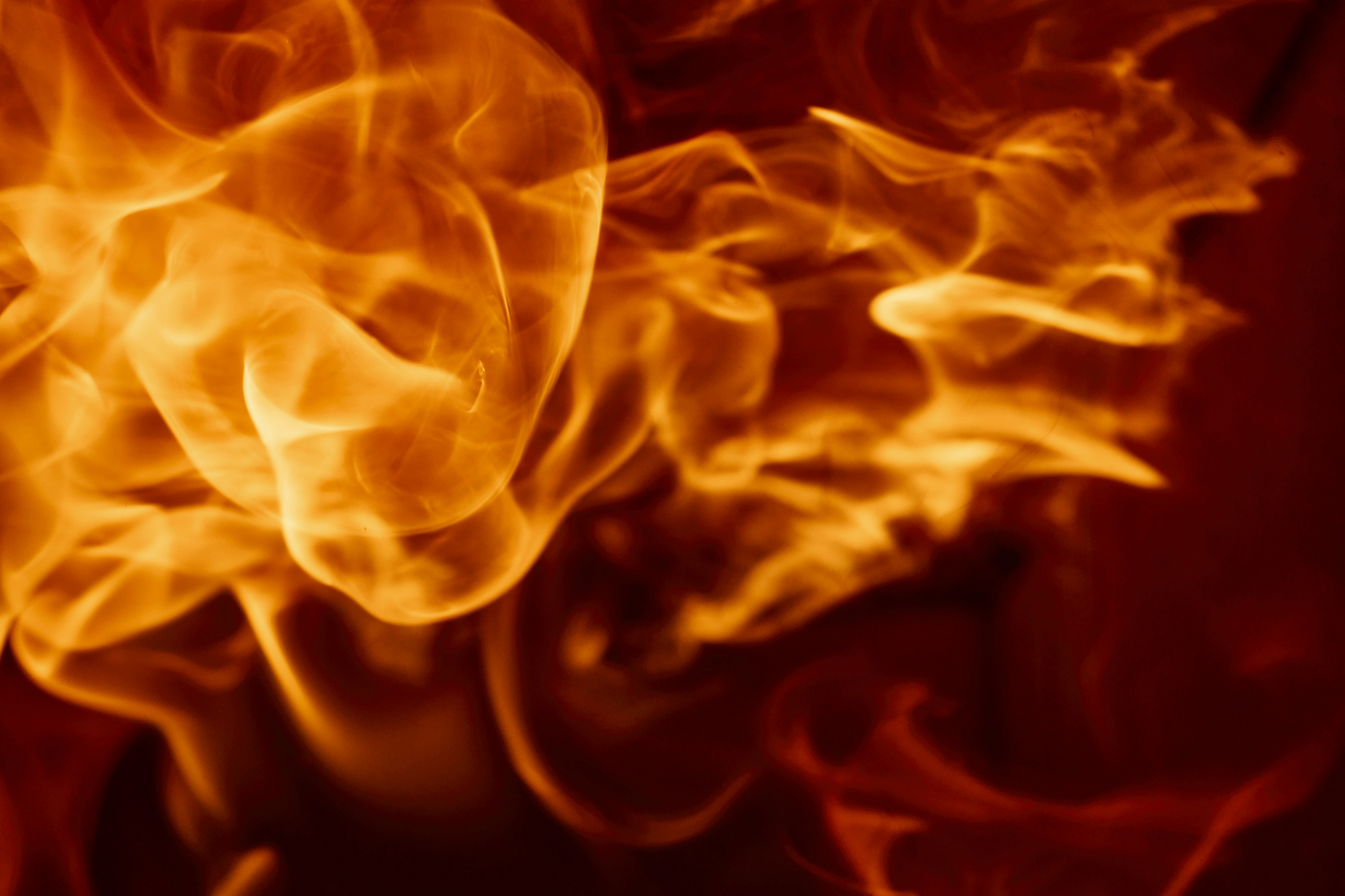 Photo by Wolfgang Hasselmann with Sony Alpha 7 IV