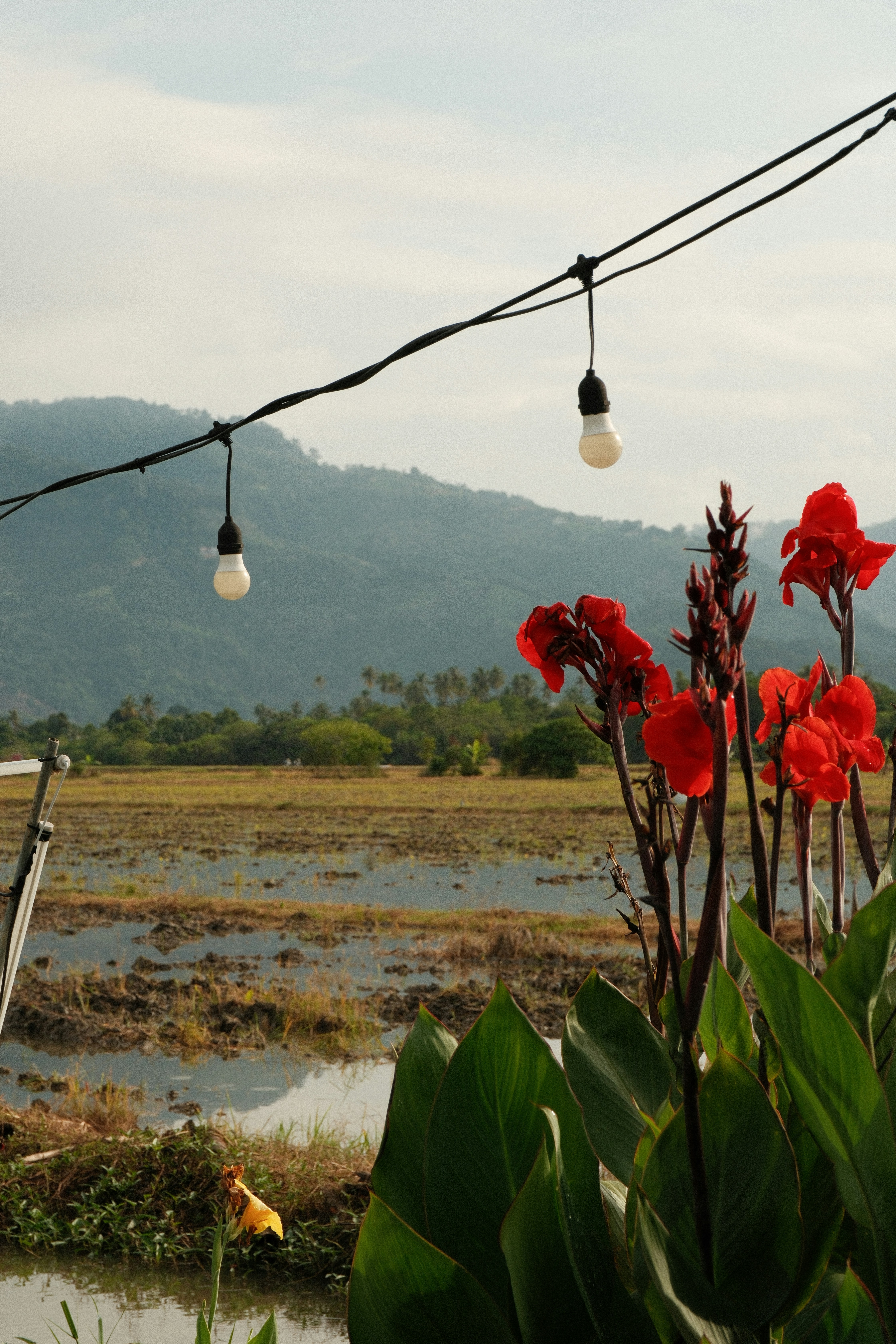 Photo by Jeyakumaran Mayooresan with Fujifilm X-T5