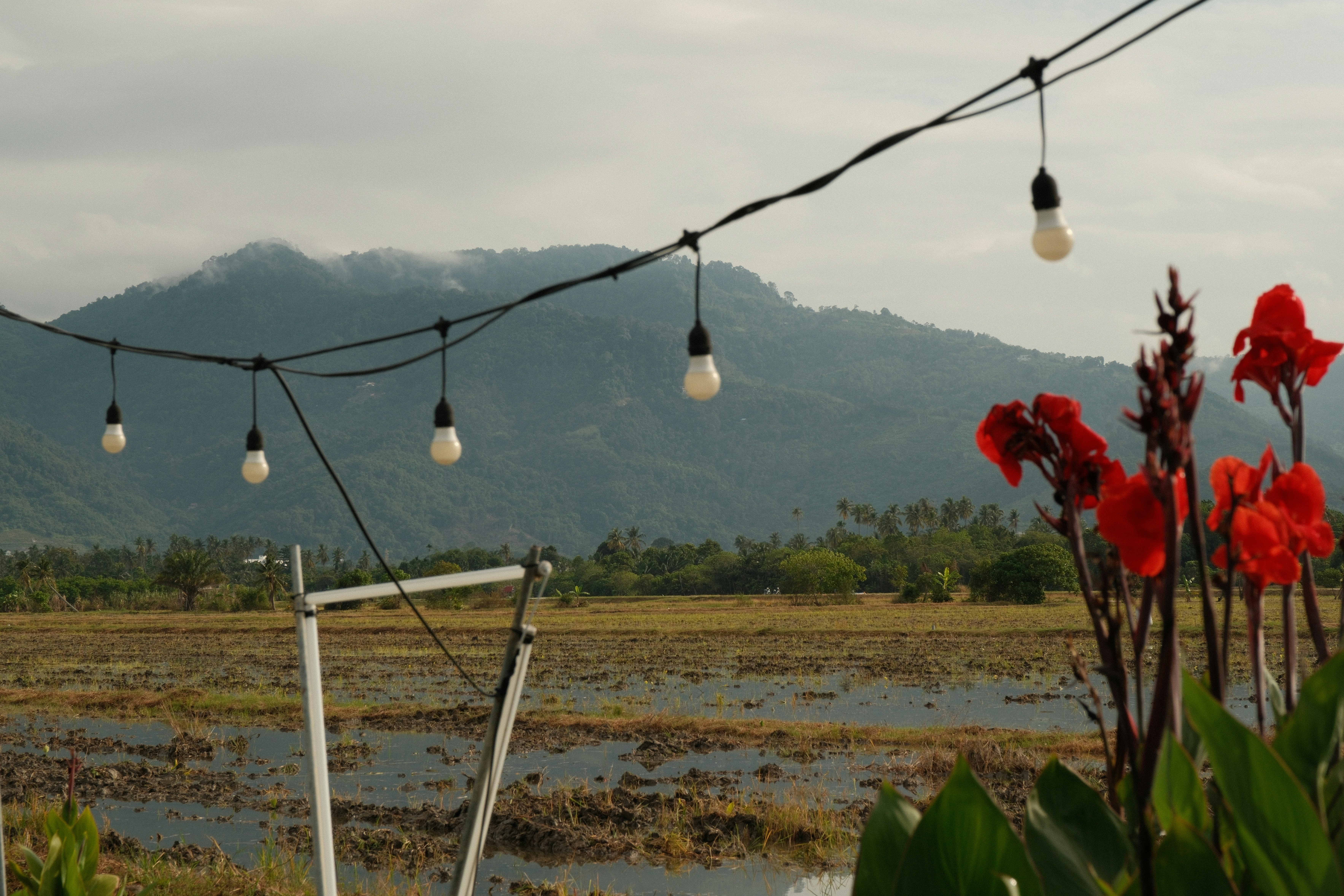 Photo by Jeyakumaran Mayooresan with Fujifilm X-T5