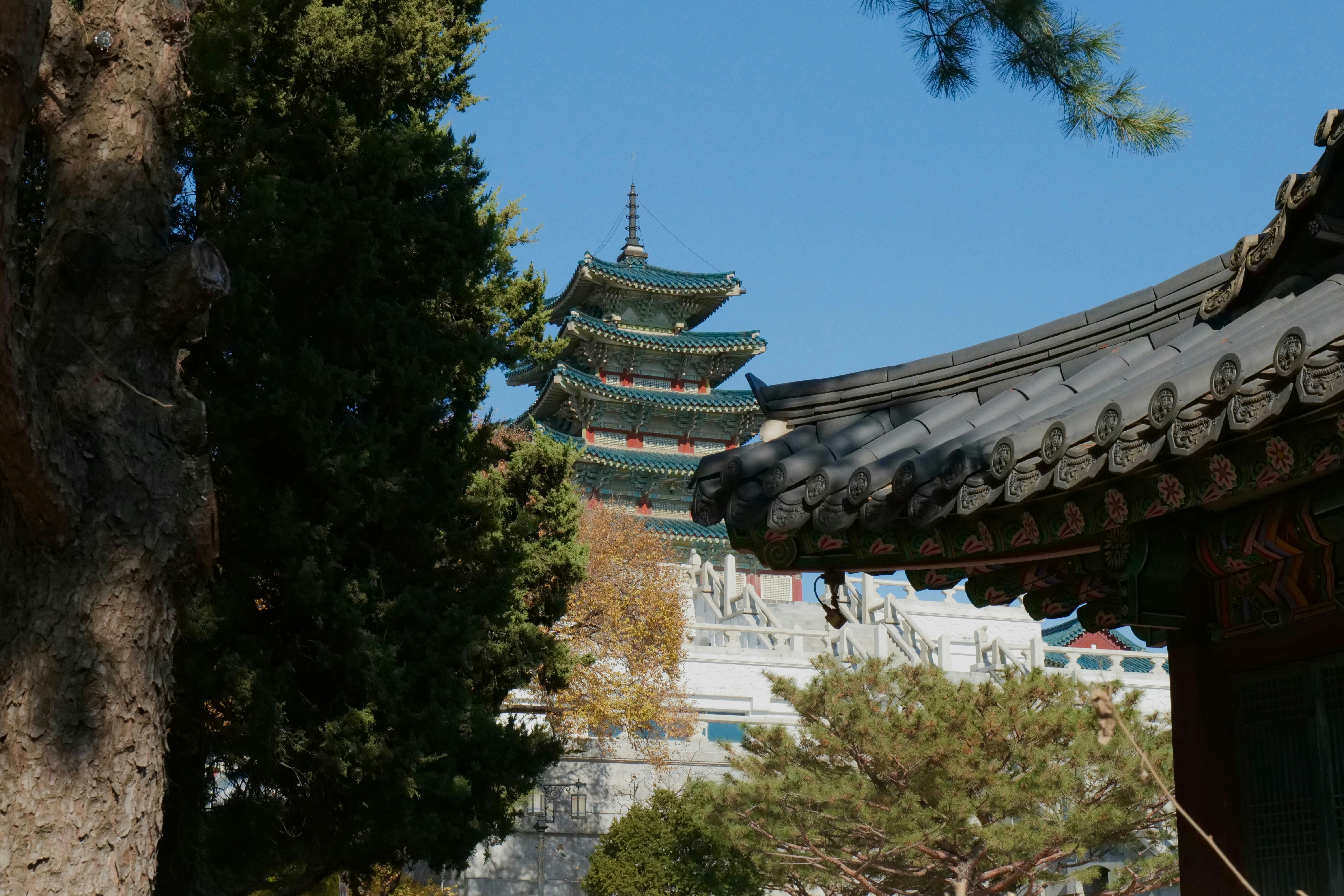 Photo by Ignacio Plaza with Panasonic Lumix S5