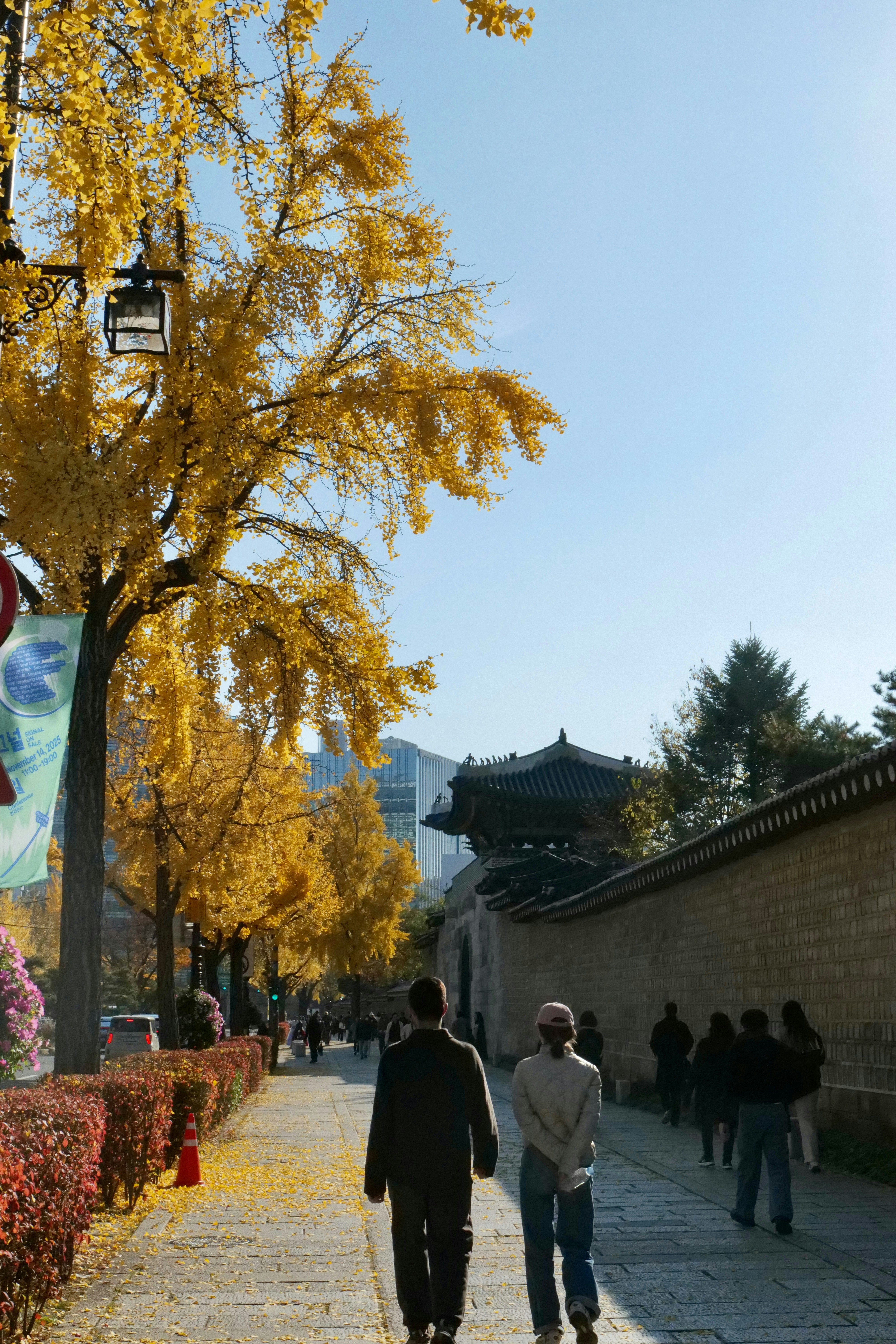 Golden Avenue: People Walk Beside an Ancient Wall Under Autumn Trees