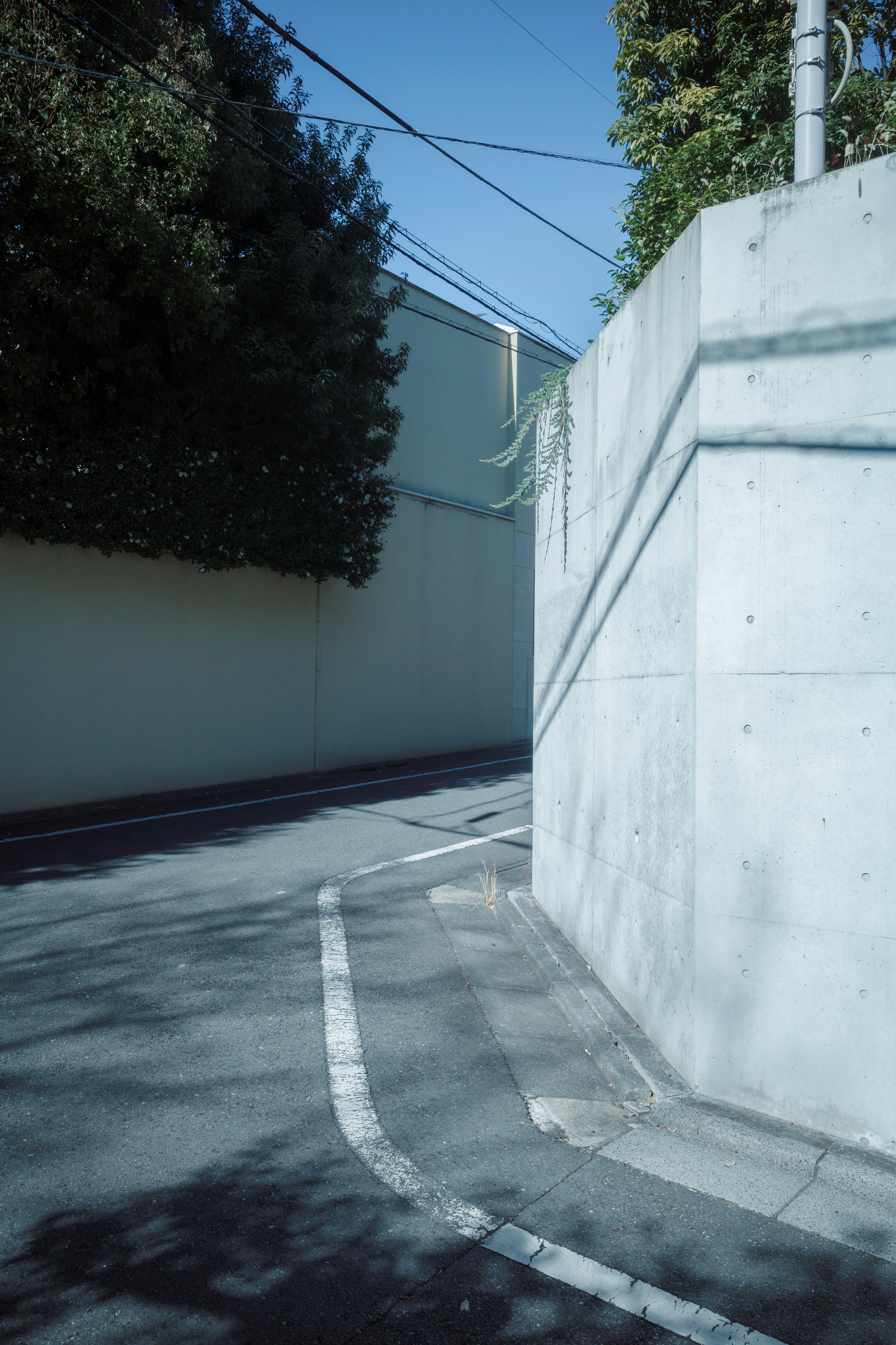 Sunlit Curve: Geometry Between Concrete Walls