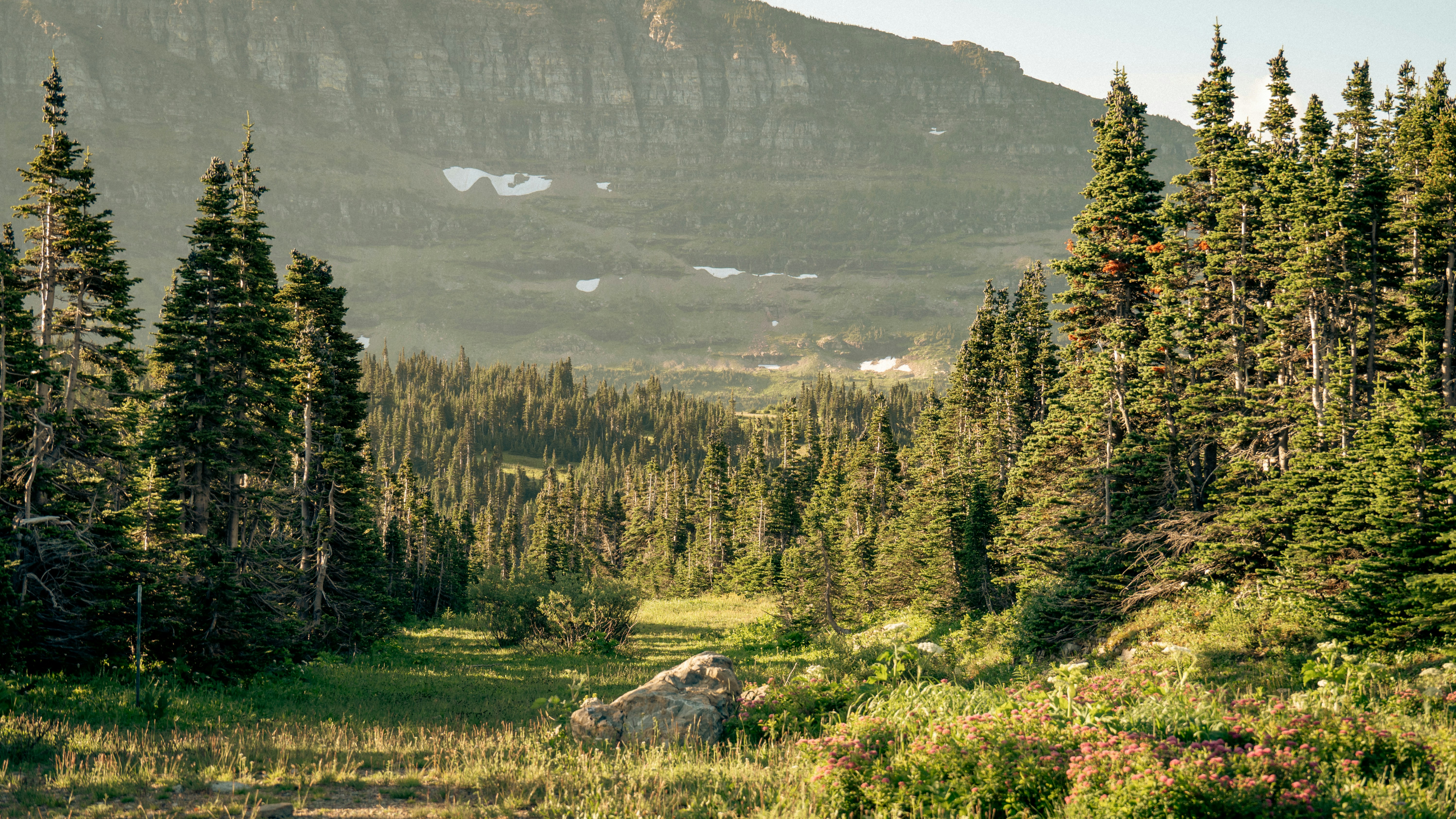 Photo by Zihao Wang with Nikon Zf