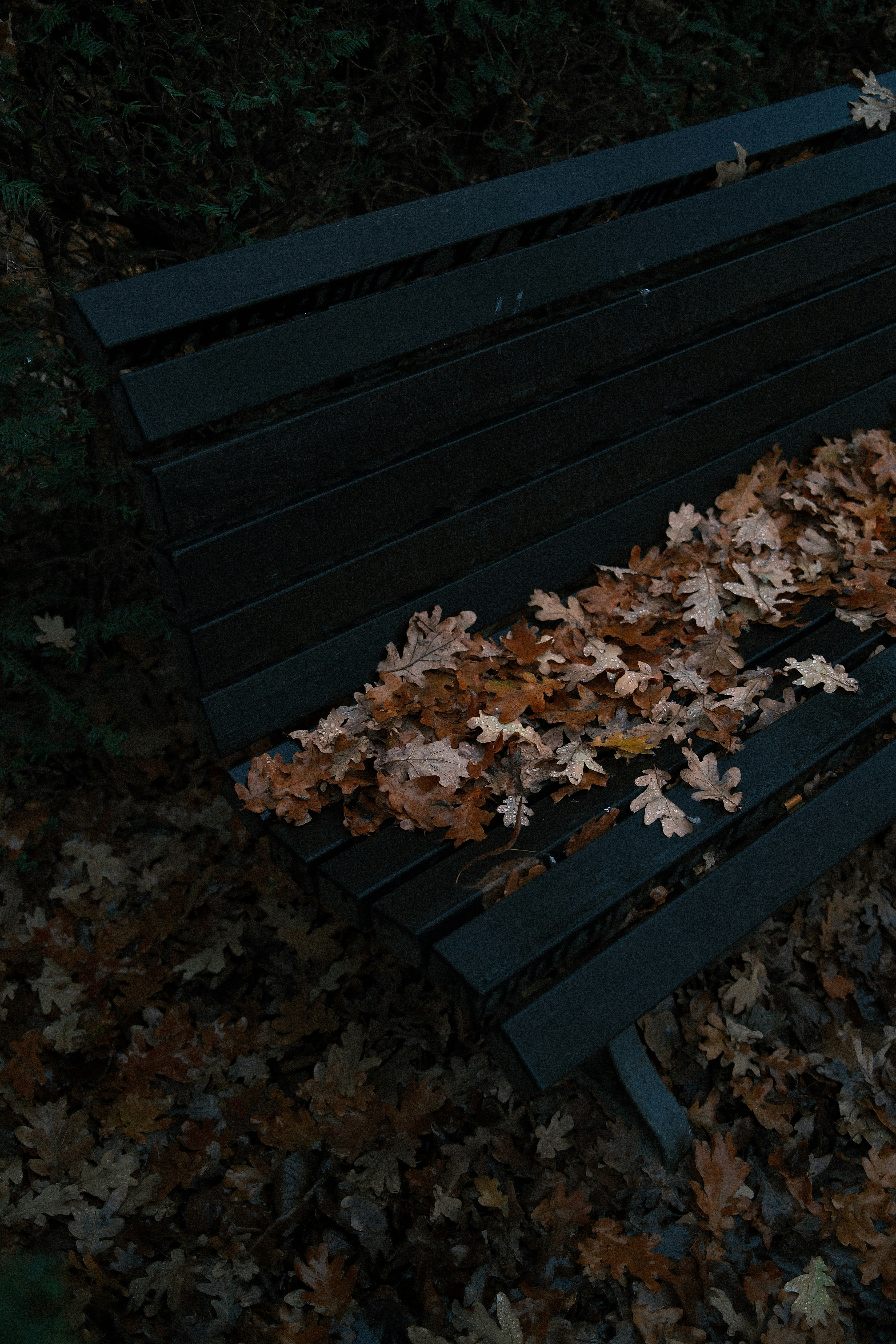 Photo by Robert | Visual Diary | Berlin with Fujifilm X100VI