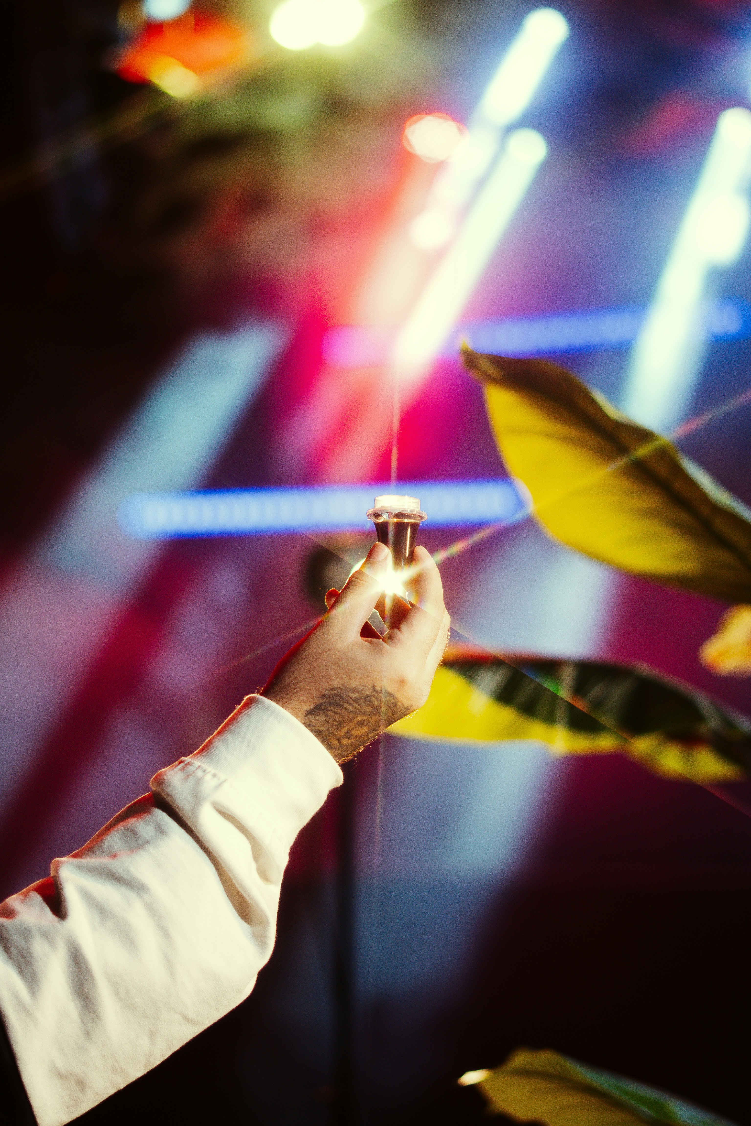 Tiny Flame on a Neon Stage: Hand Framed Amid Leaves