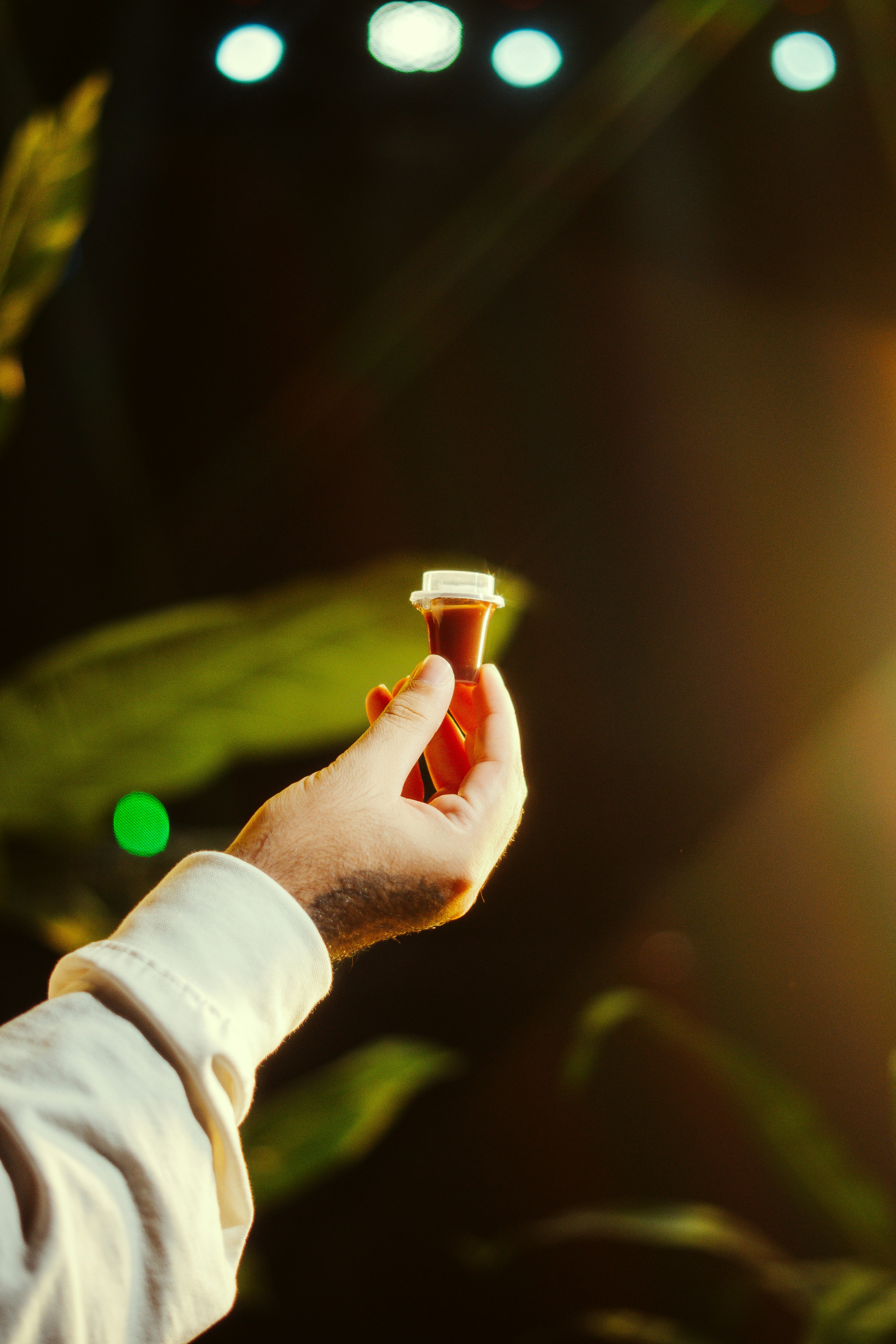 Photo by Ricardo Henri with Sony Alpha 7 IV