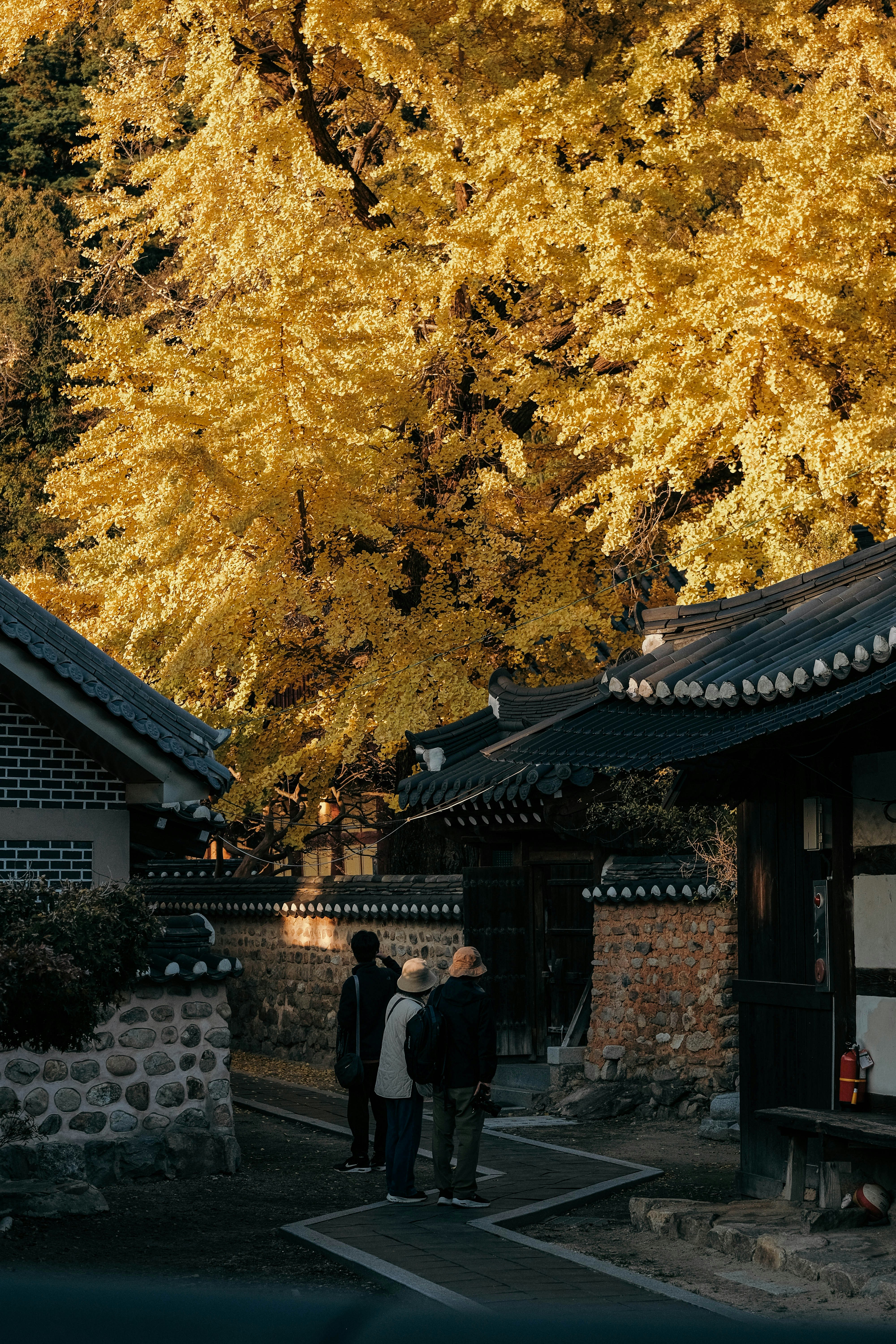 Photo by insung yoon with Fujifilm X-T3