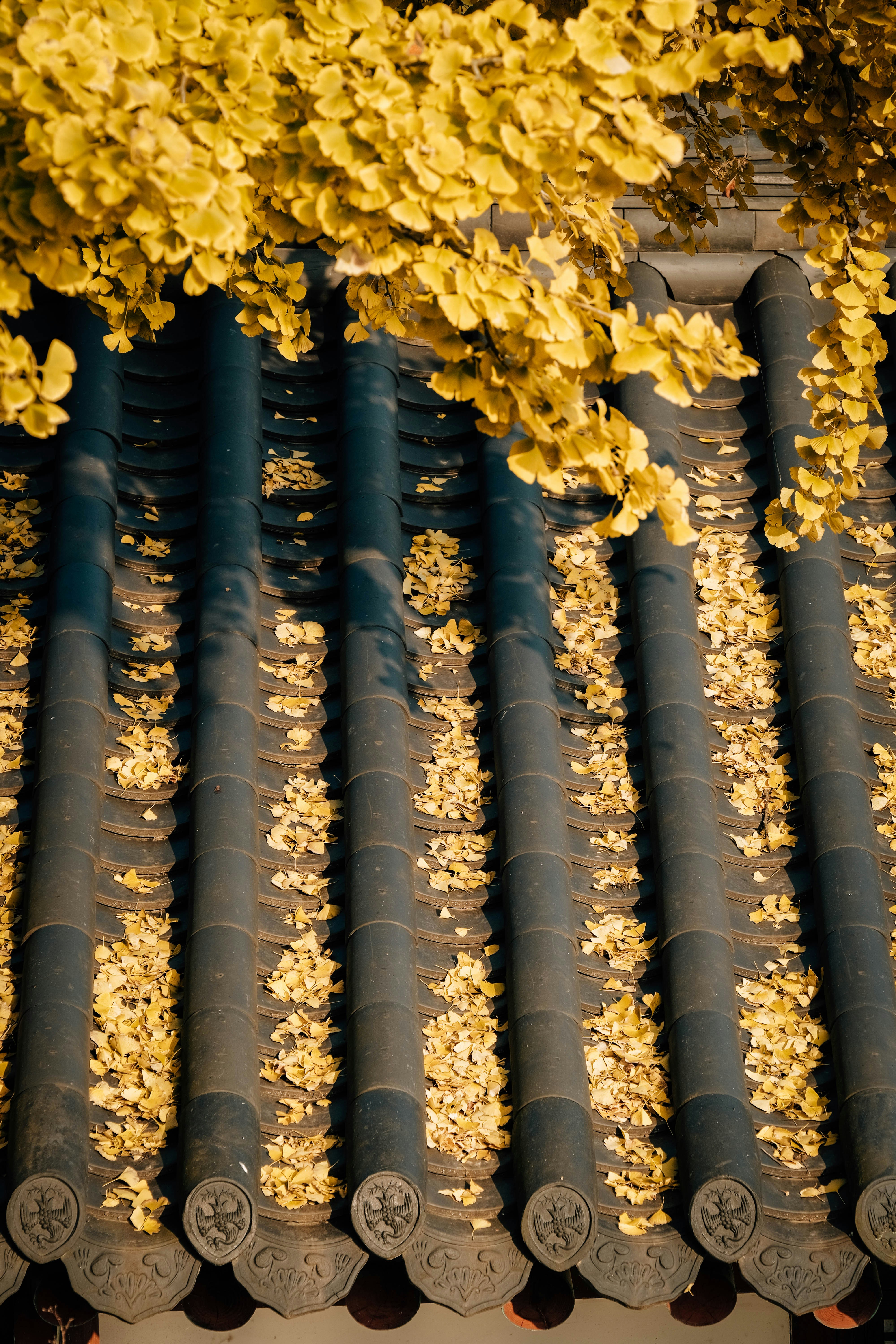 Photo by insung yoon with Fujifilm X-T3