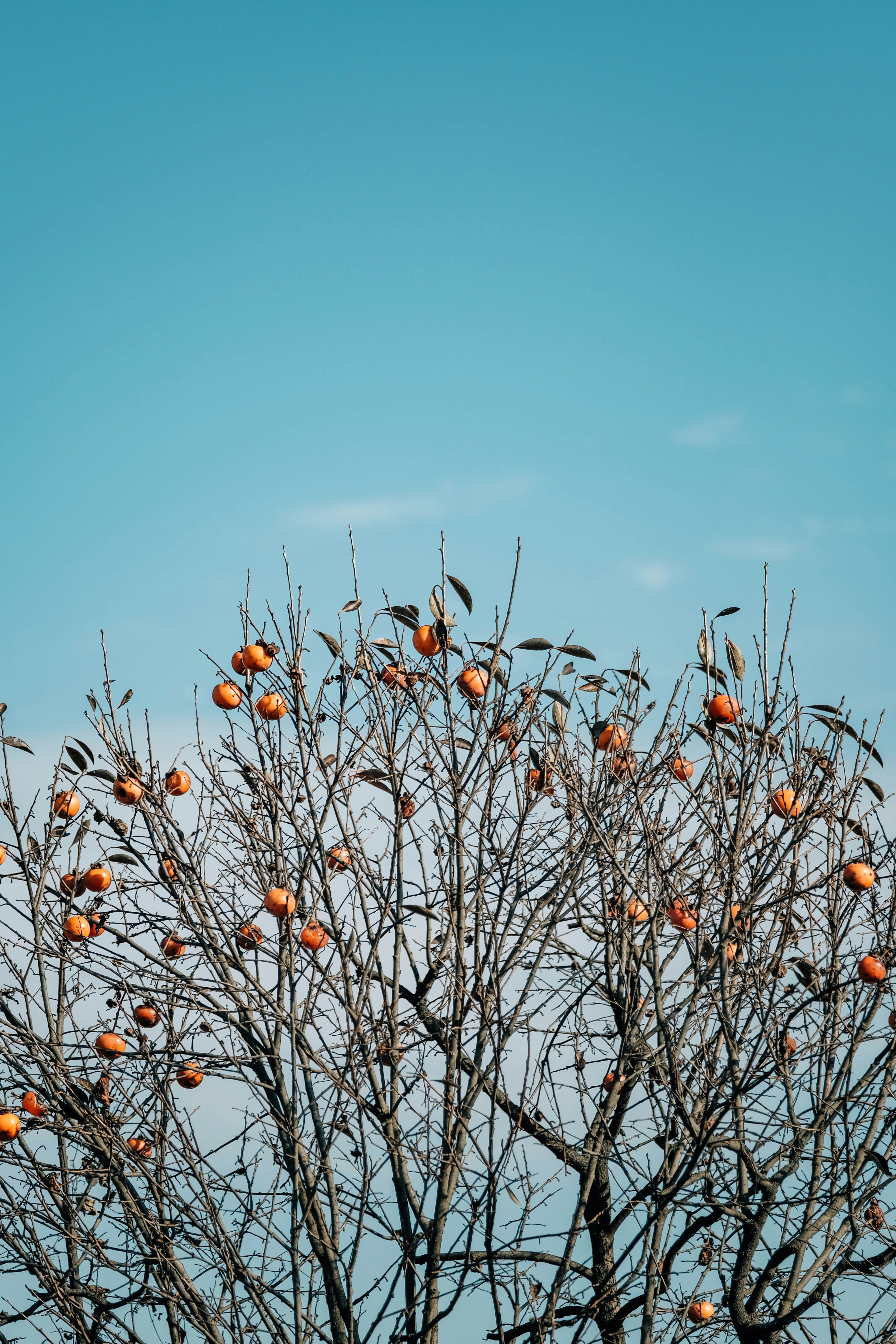 Photo by insung yoon with Fujifilm X-T3