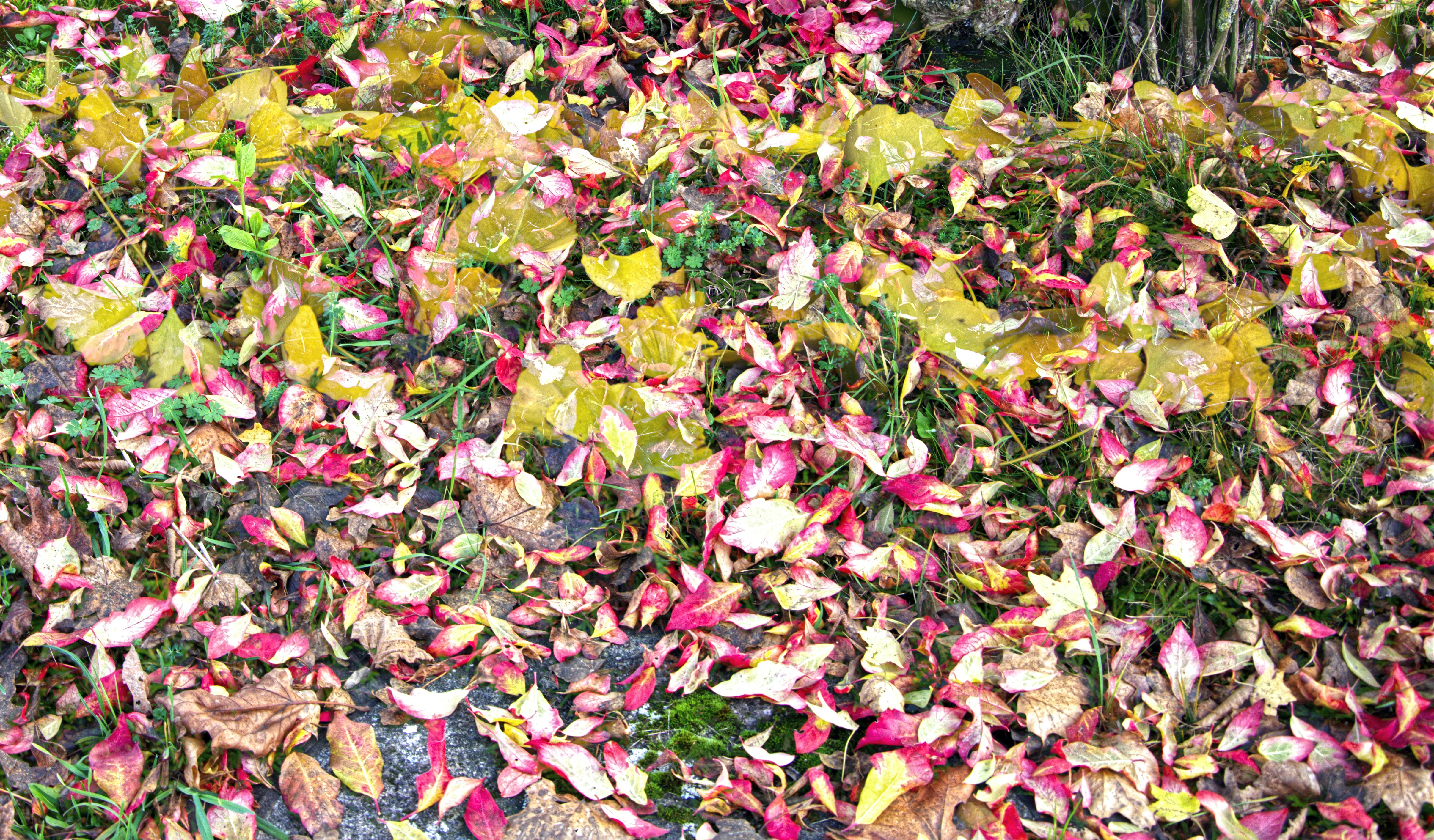 Photo by John Apps with Nikon D7200