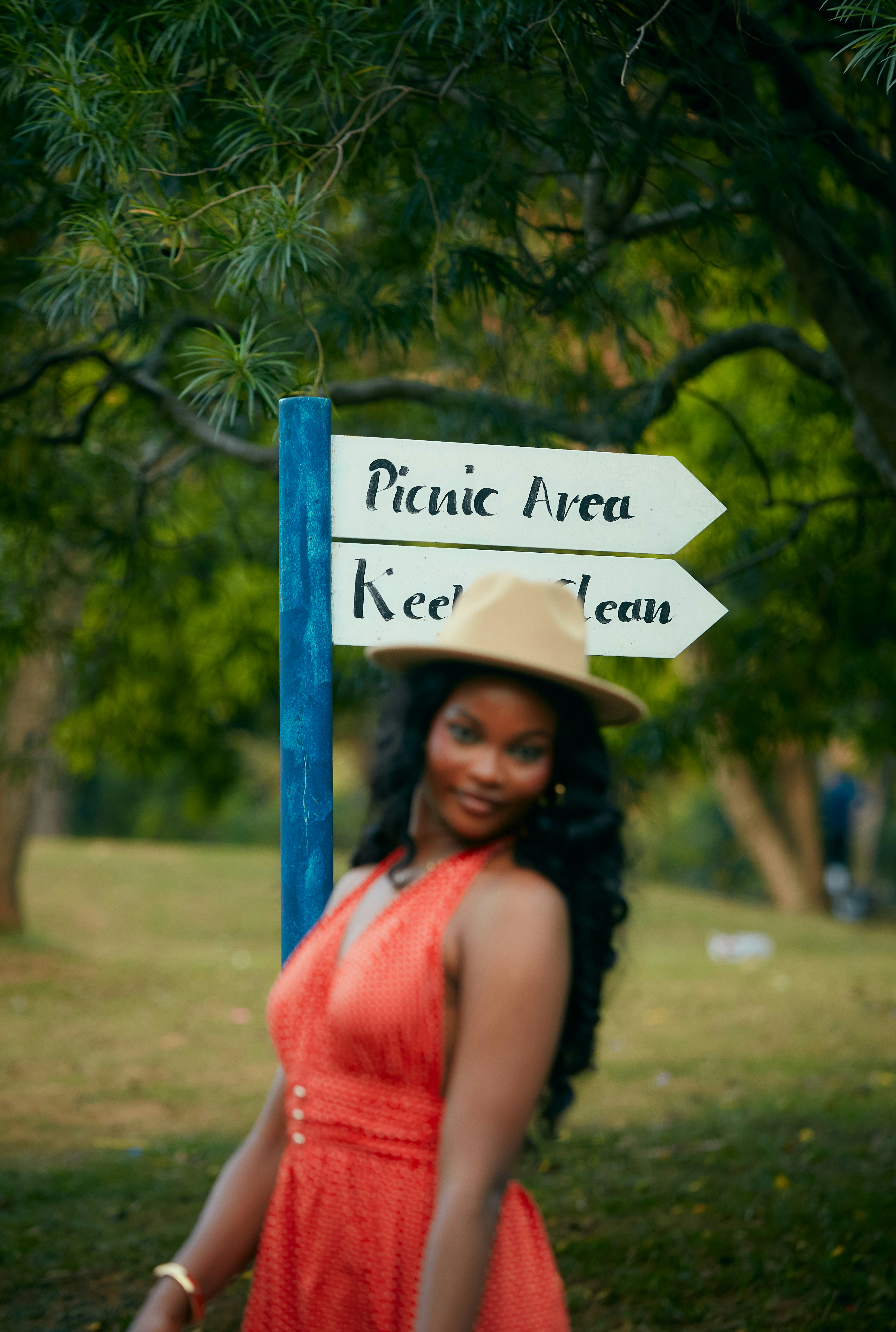Signpost Serenade in a Sunlit Park