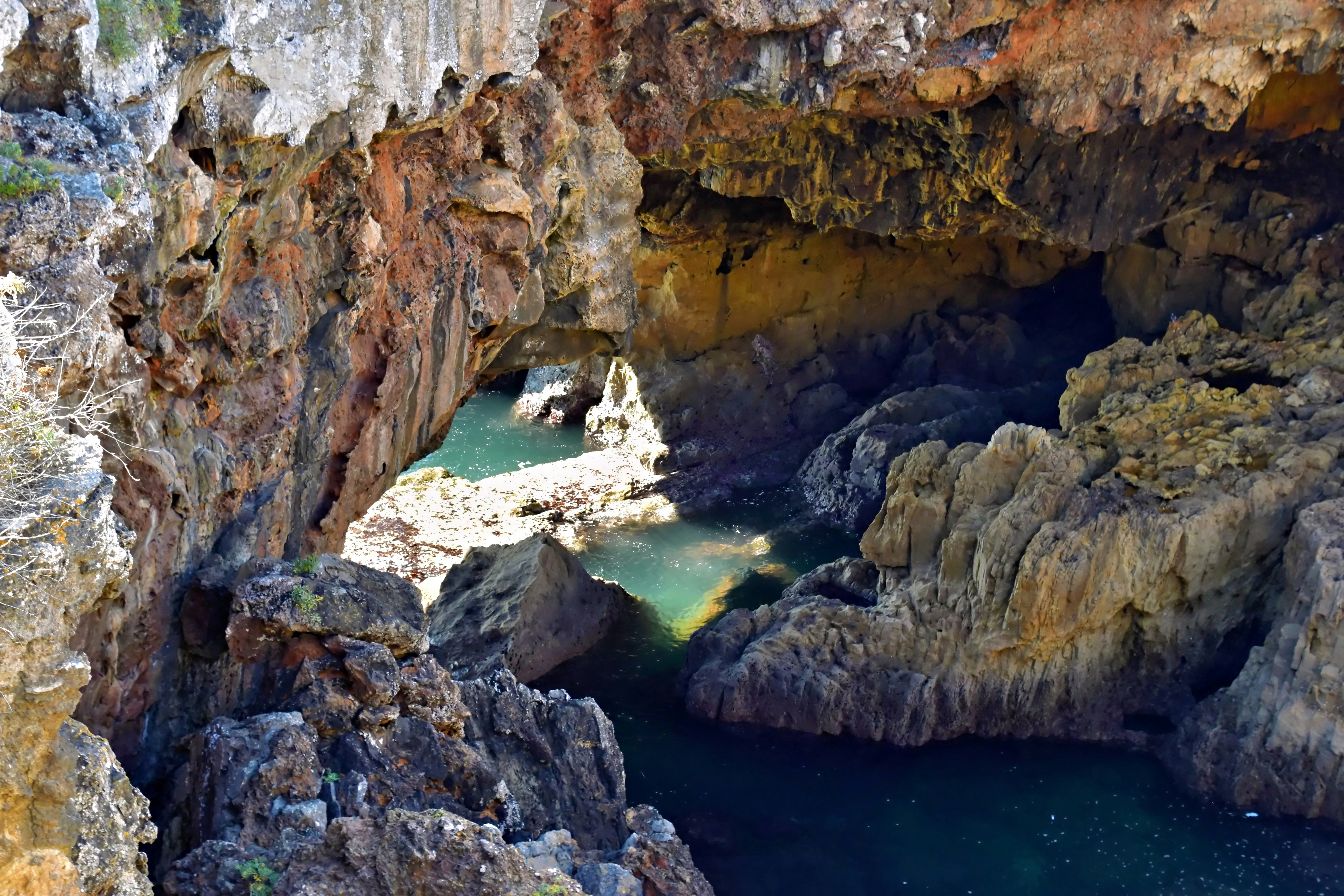 Photo by Jeffrey Eisen with Nikon D5600