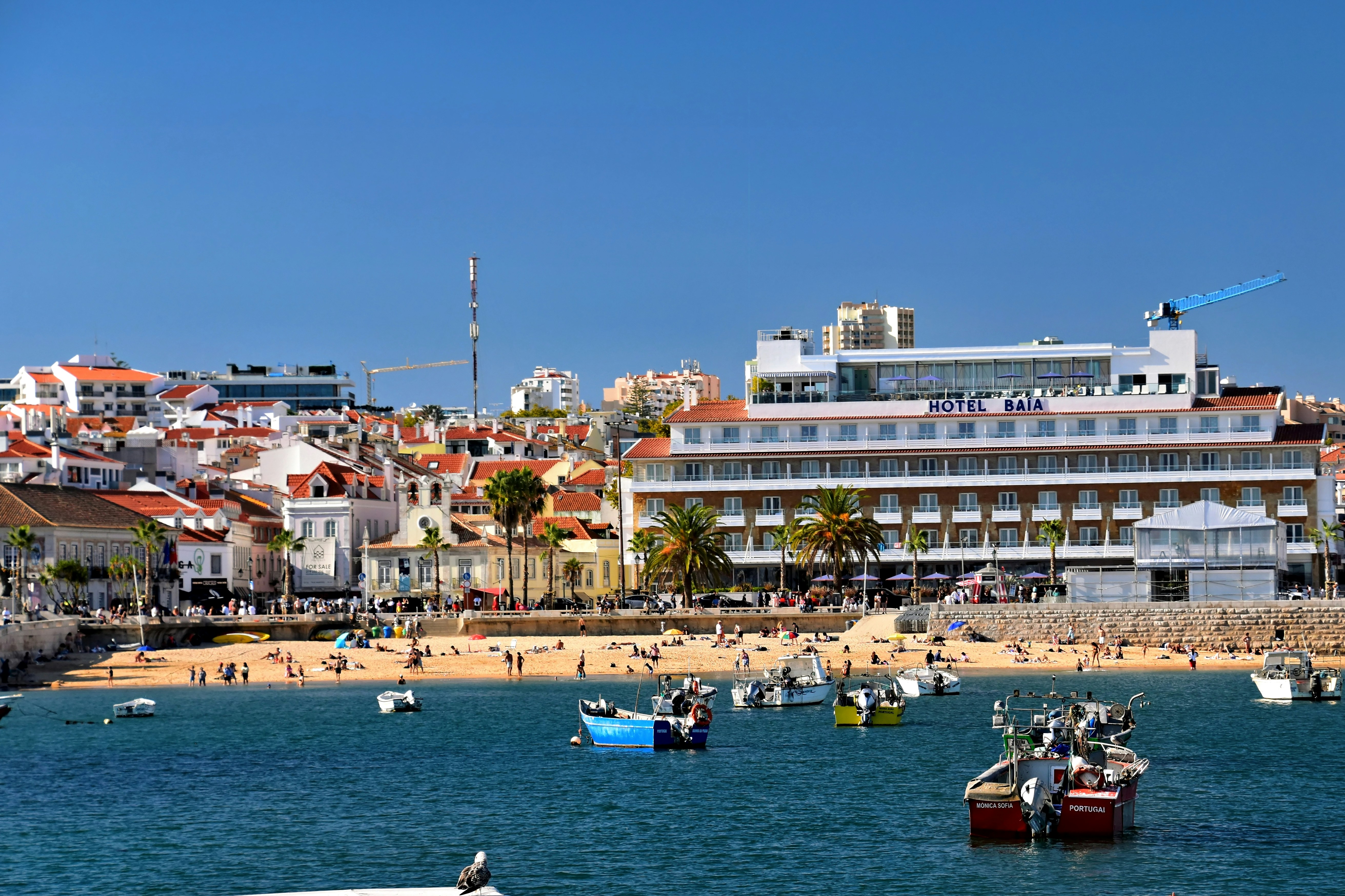 Photo by Jeffrey Eisen with Nikon D5600