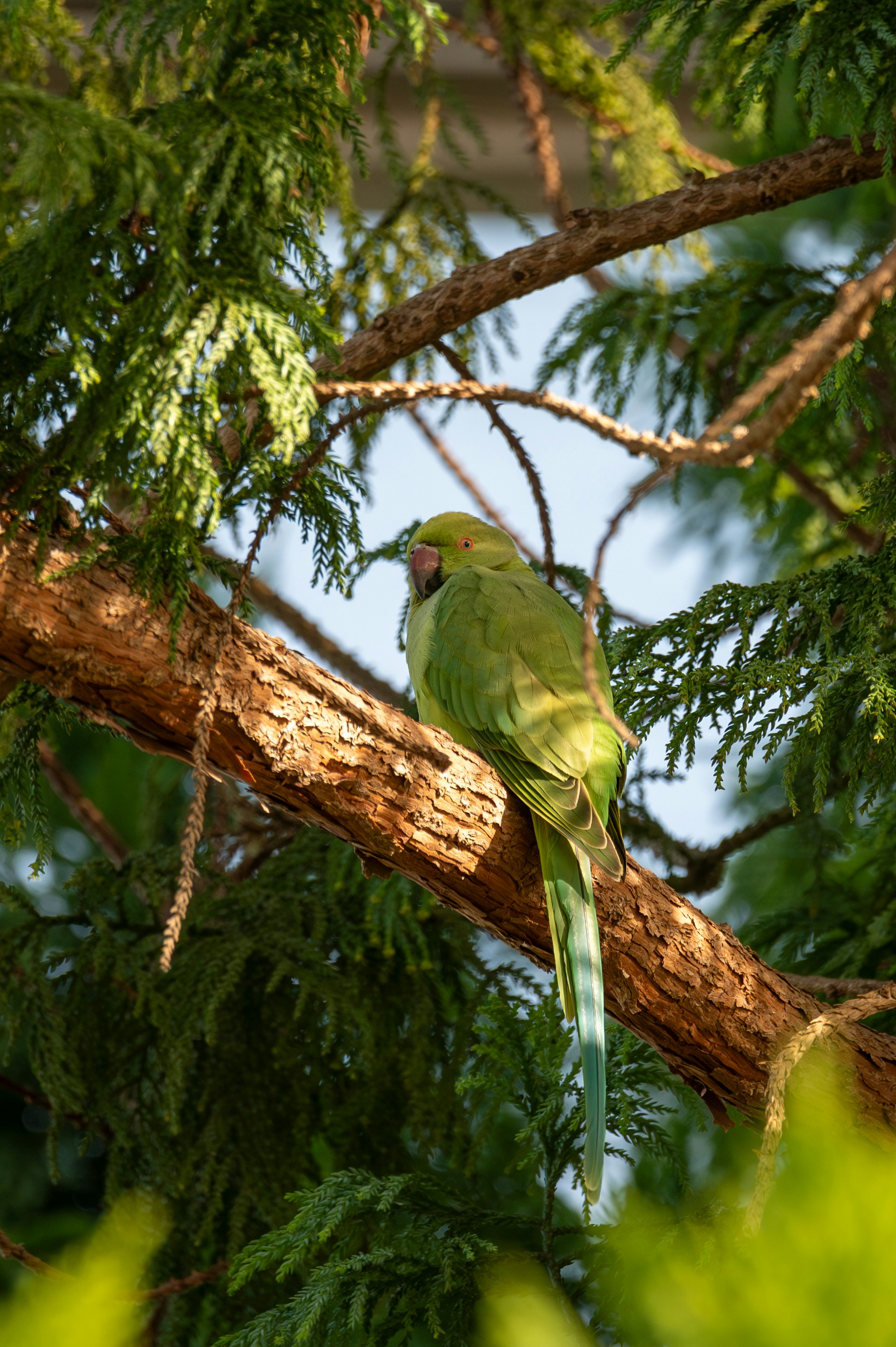 Photo by Robert Schmölzer with Nikon Z6