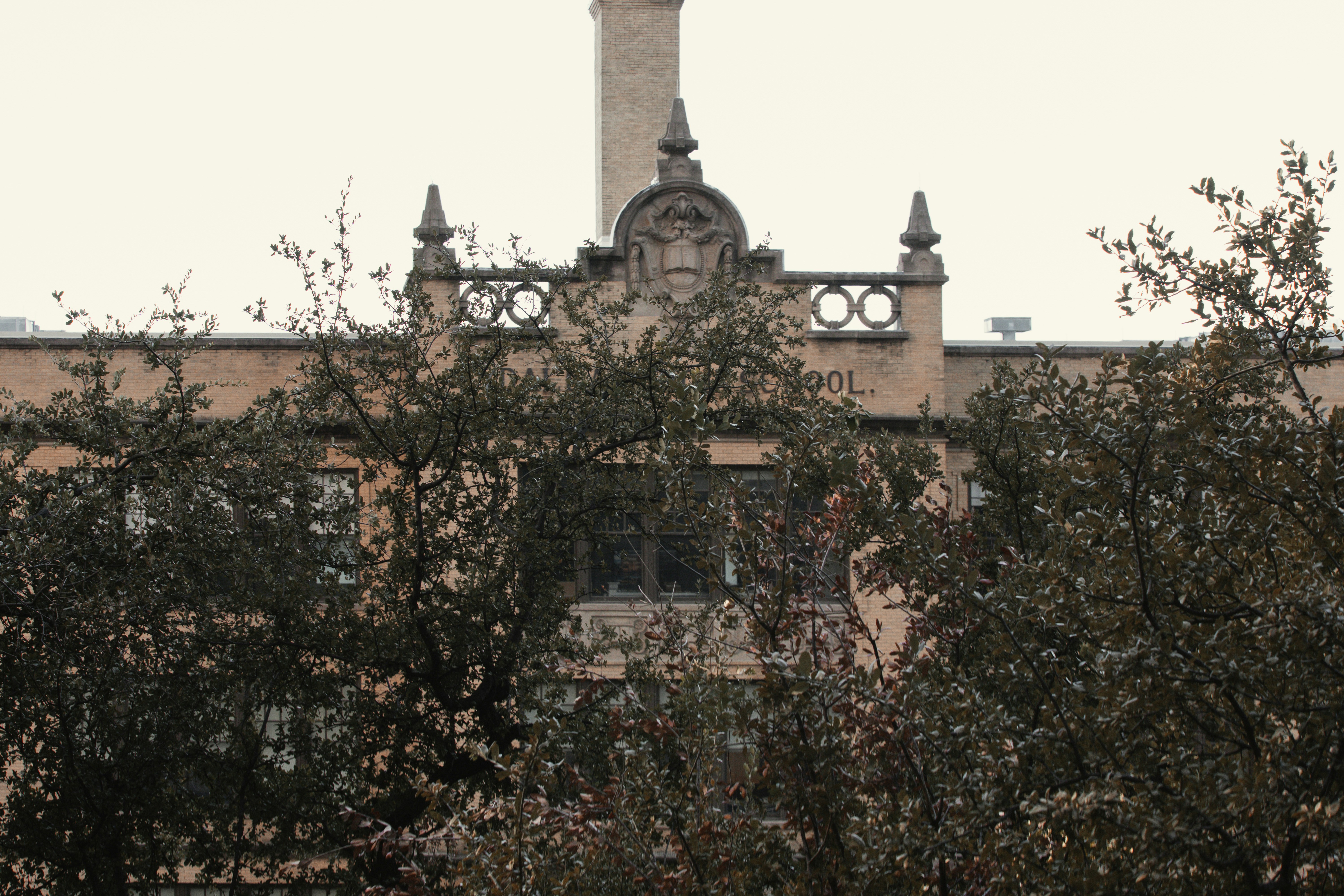 Historic school facade peeking through a veil of trees at dusk