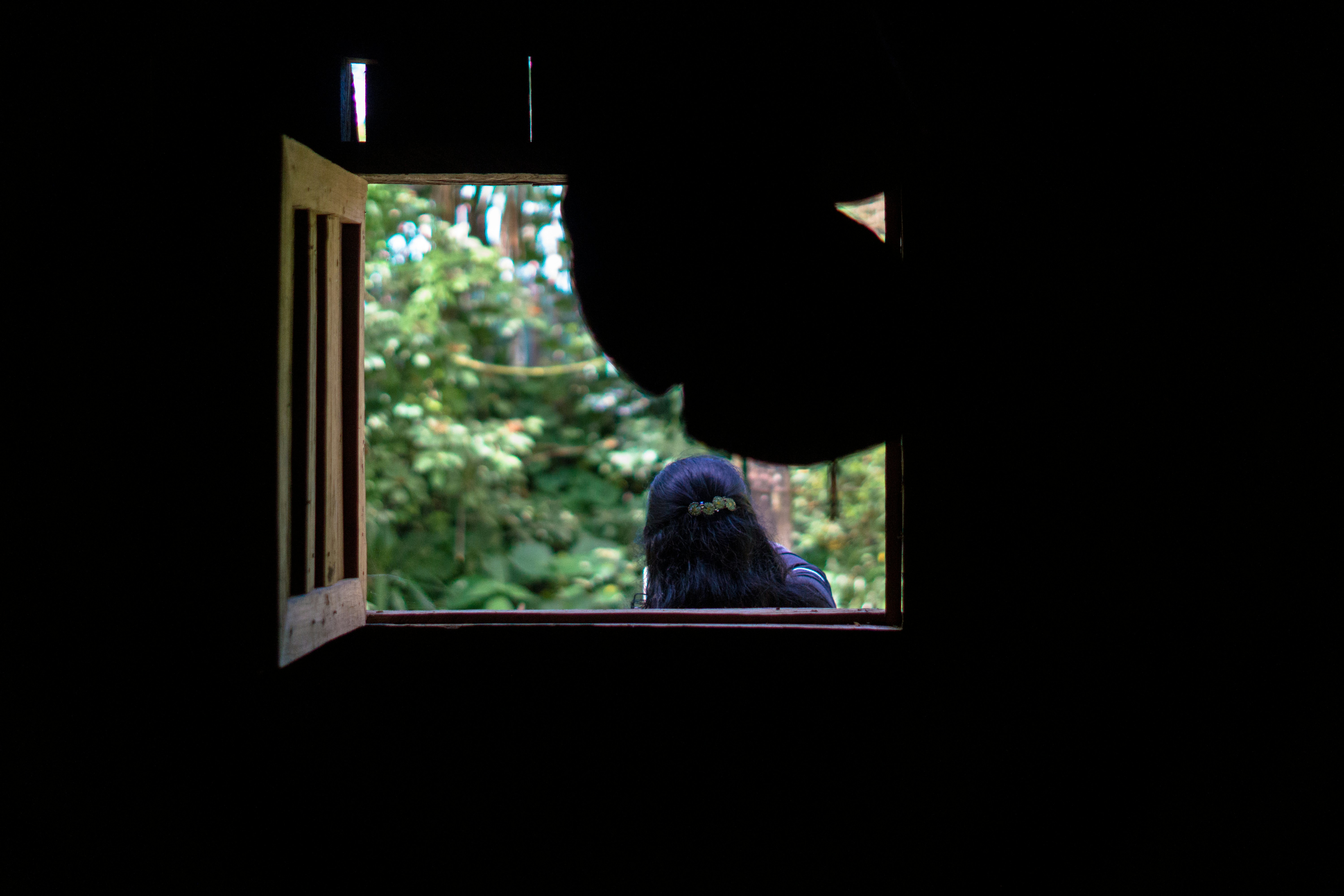 Bluebird at the Threshold: Quiet Cabin Window Portrait