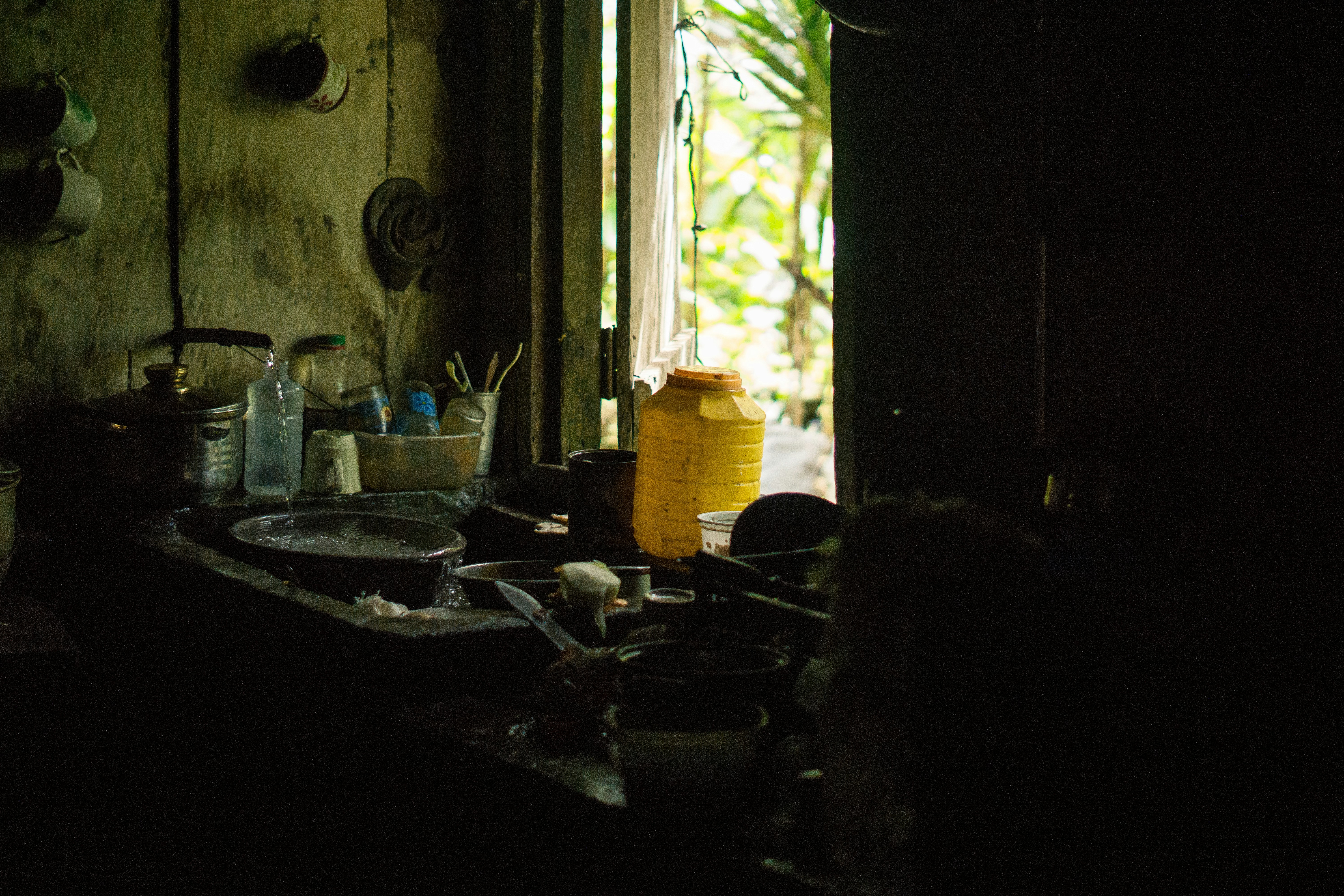 Photo by José Ramos with Sony Alpha 6000