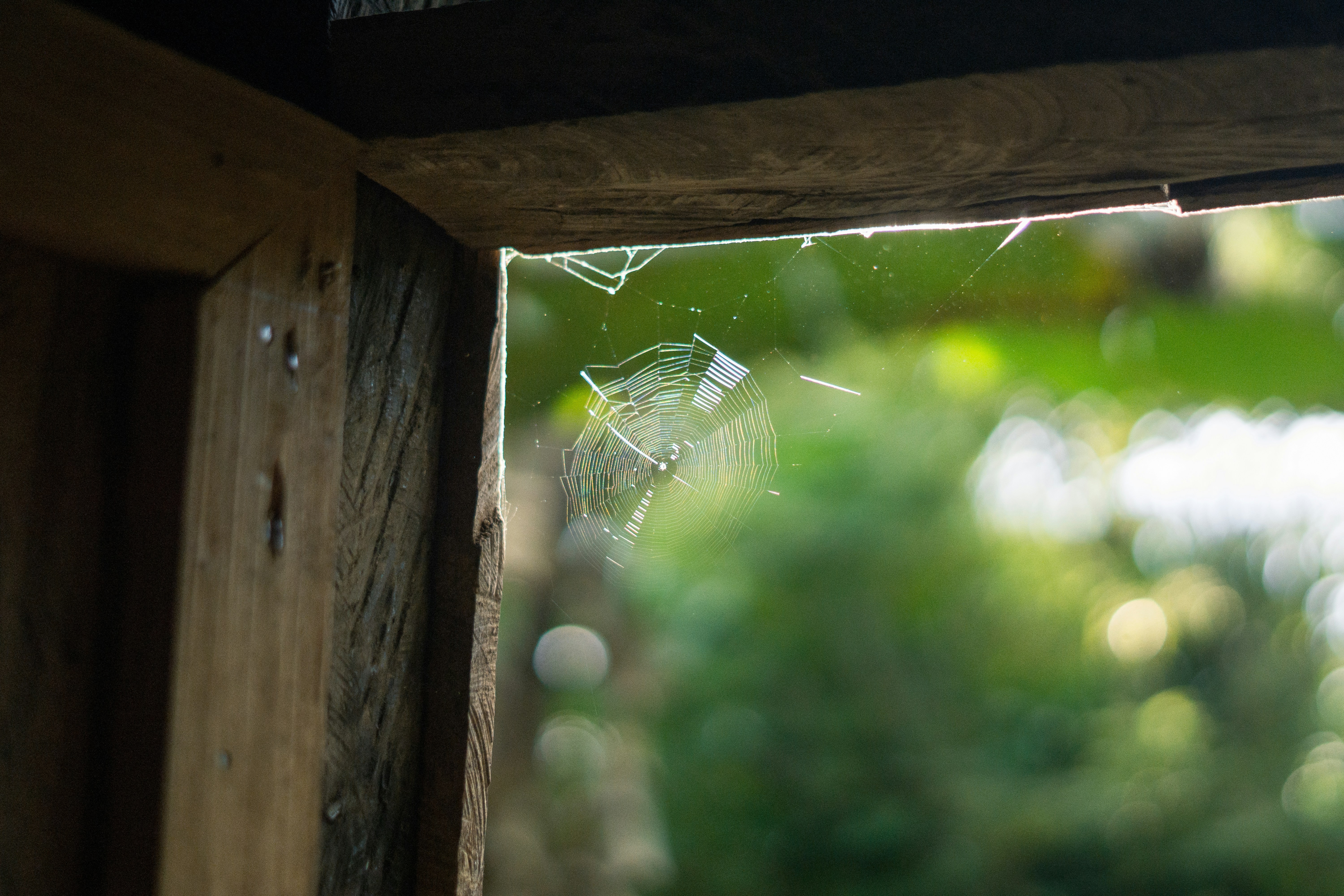 Photo by José Ramos with Sony Alpha 6000