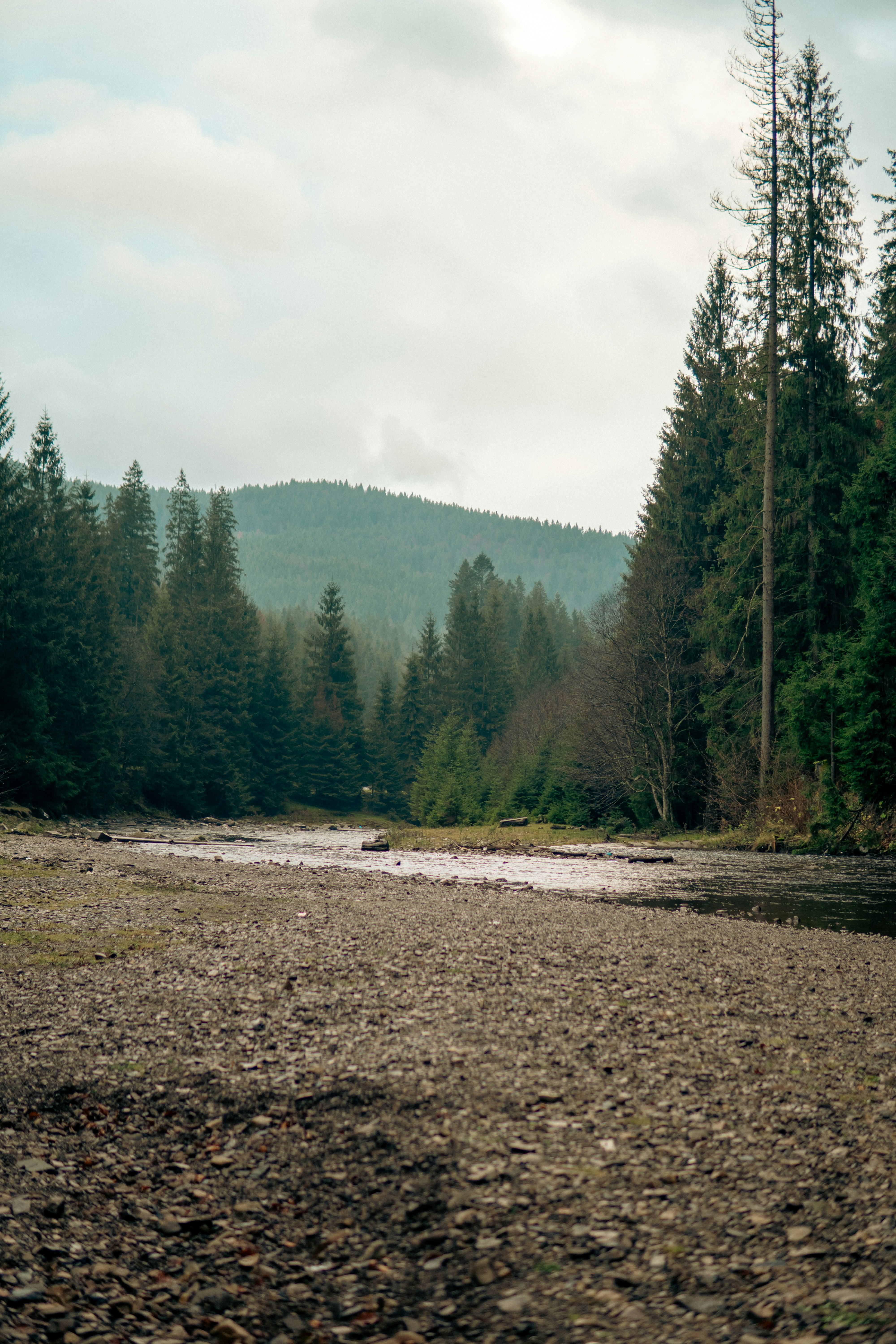 Carpathian mountains