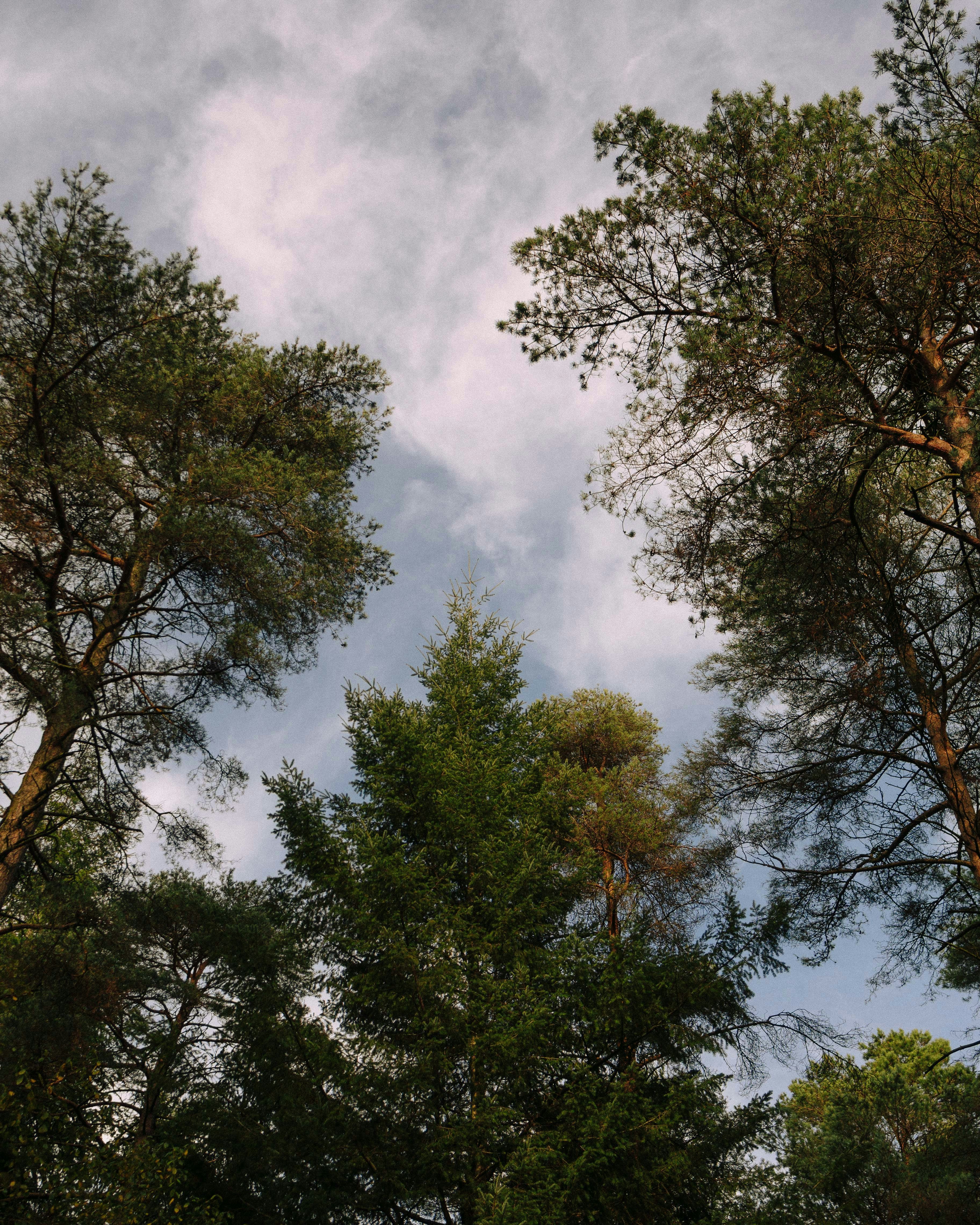 Photo by Jordan Cormack with Canon EOS 6D