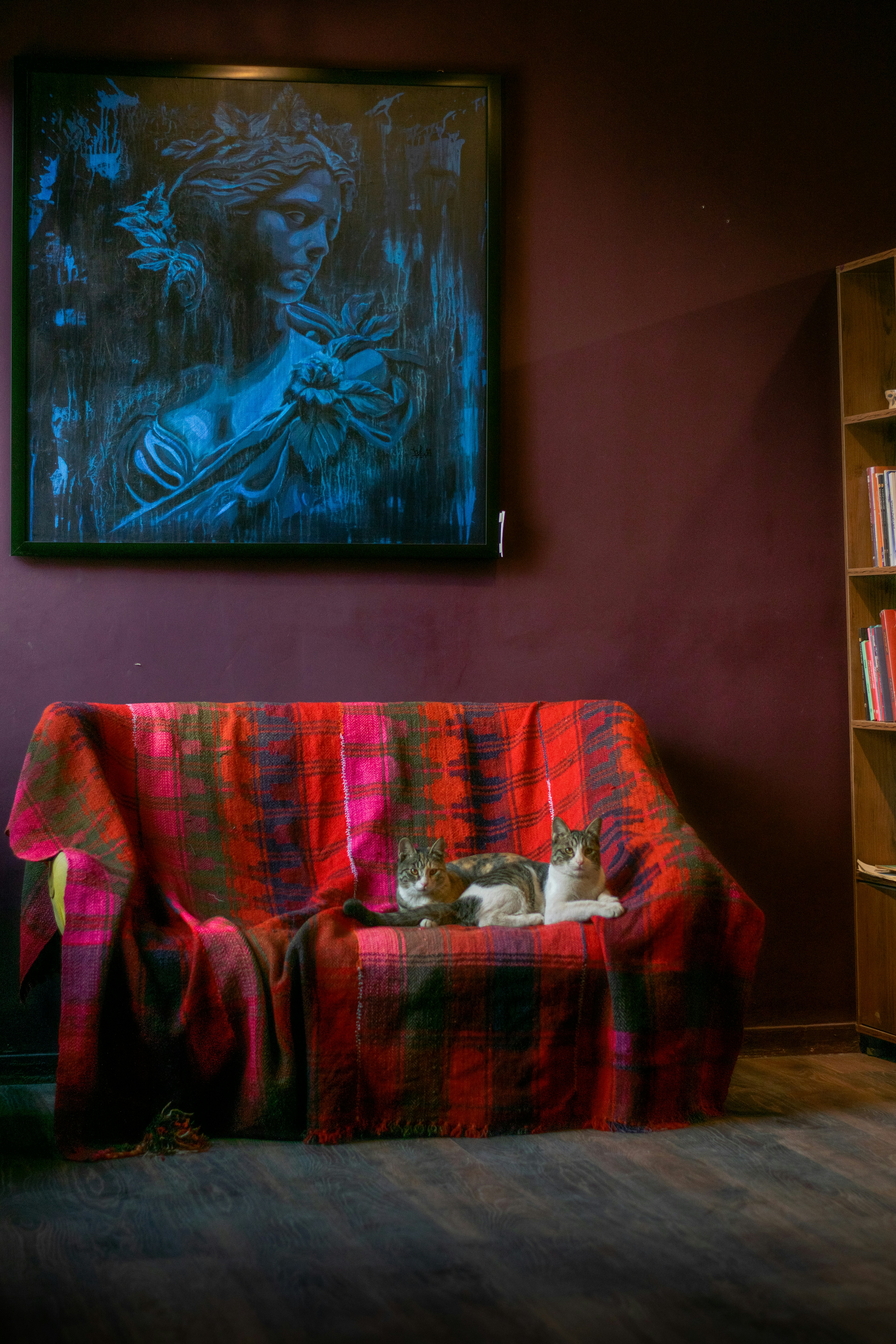 Photo by Parsa with Nikon D5300