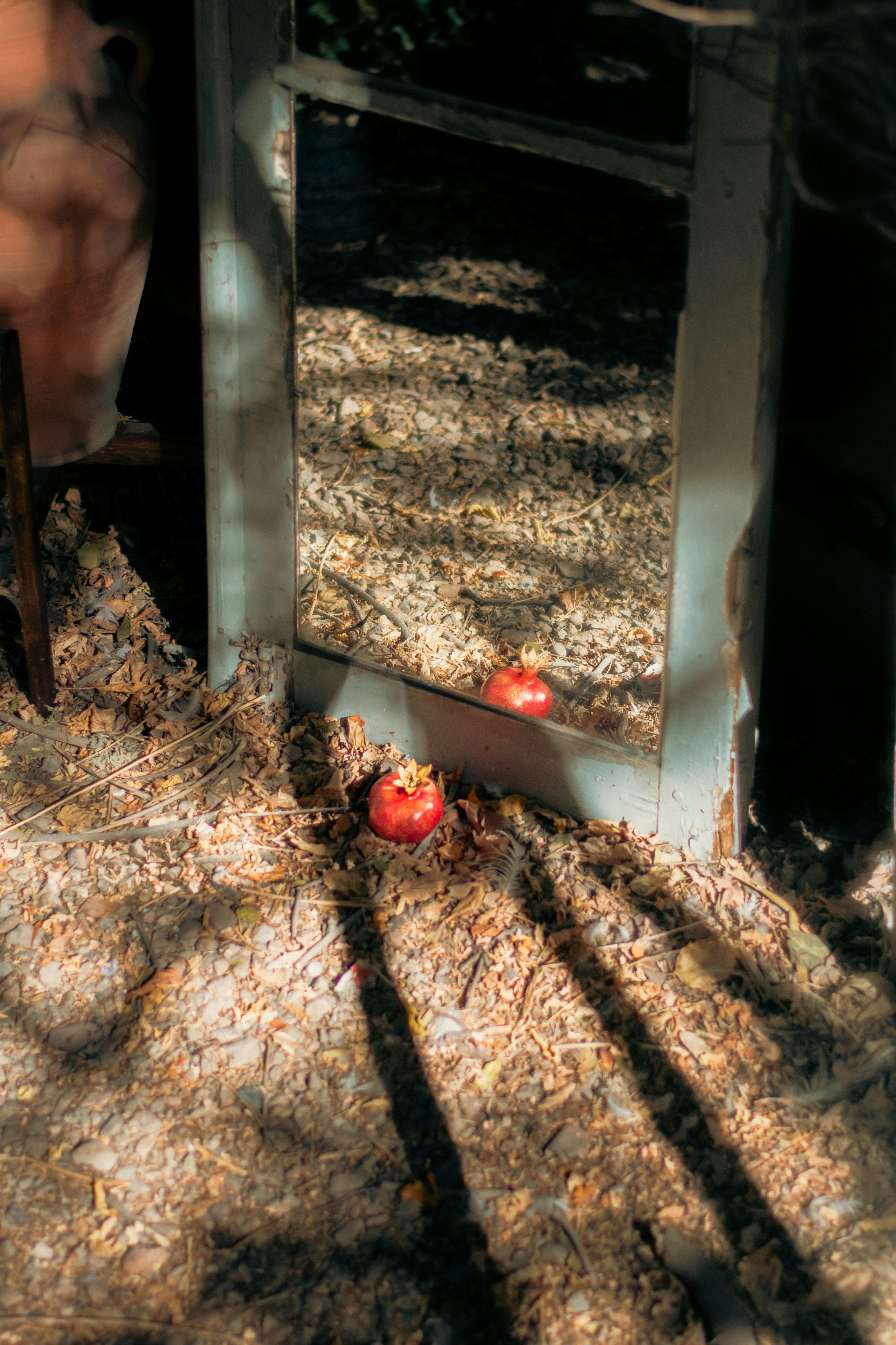 Two Red Apples Beneath a Weathered Frame in Autumn Light