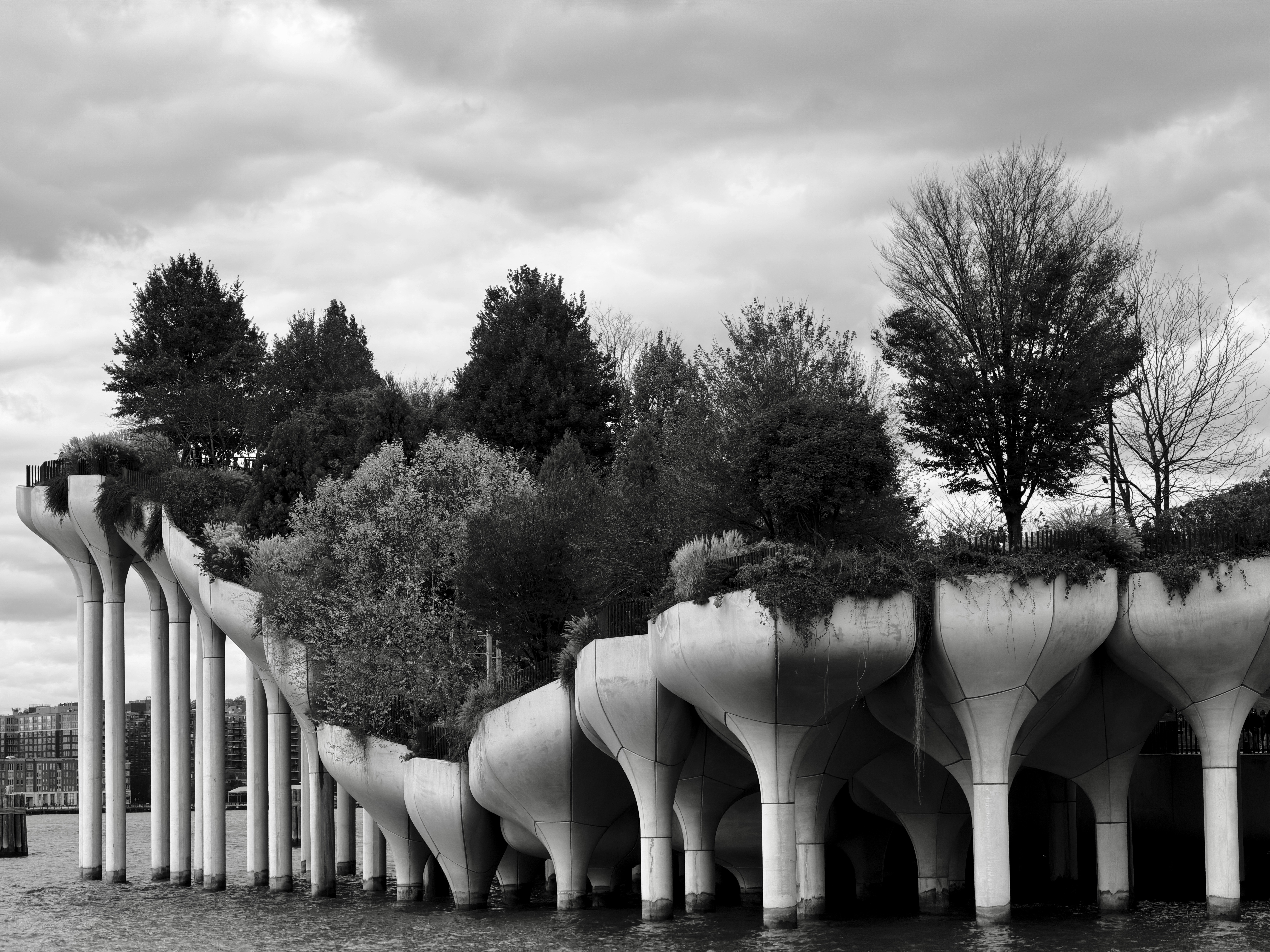 Grayscale Colonnade: Trees Crown the Curved Arches