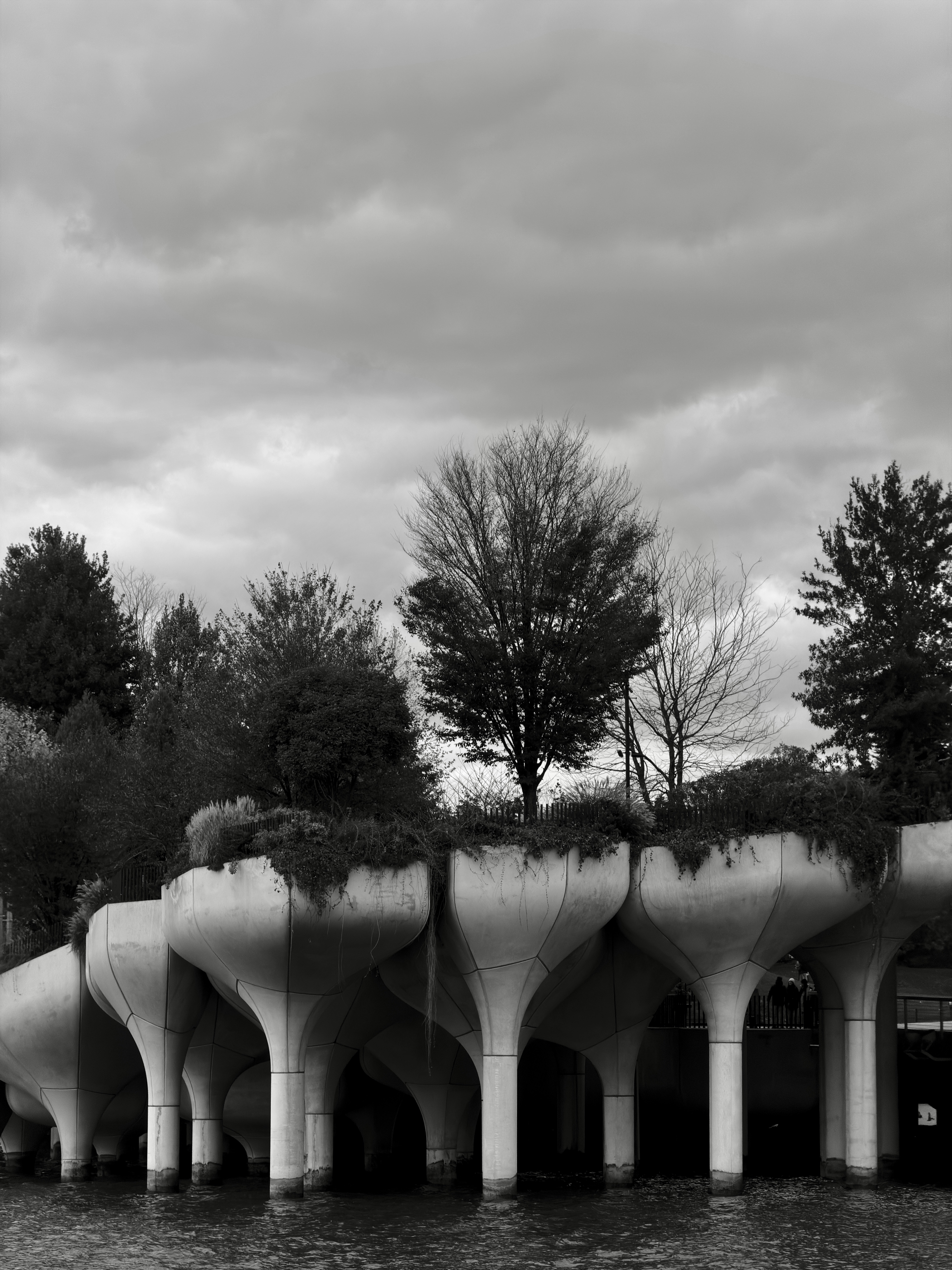 Monochrome Arches: Trees Crown a Waterfront Concrete Canopy