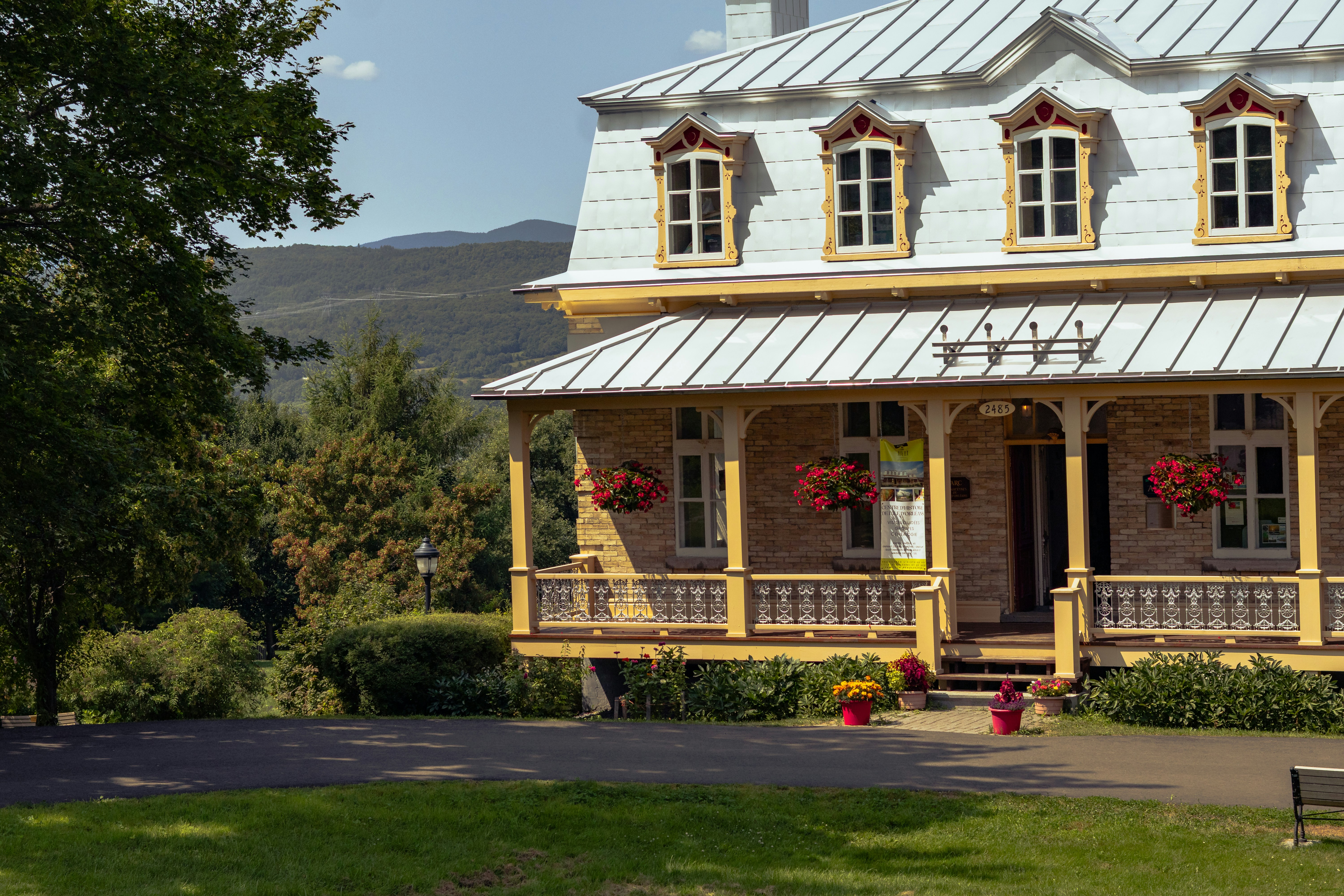 Sunlit Veranda on a Yellow-Wood Cottage Amid Rolling Hills