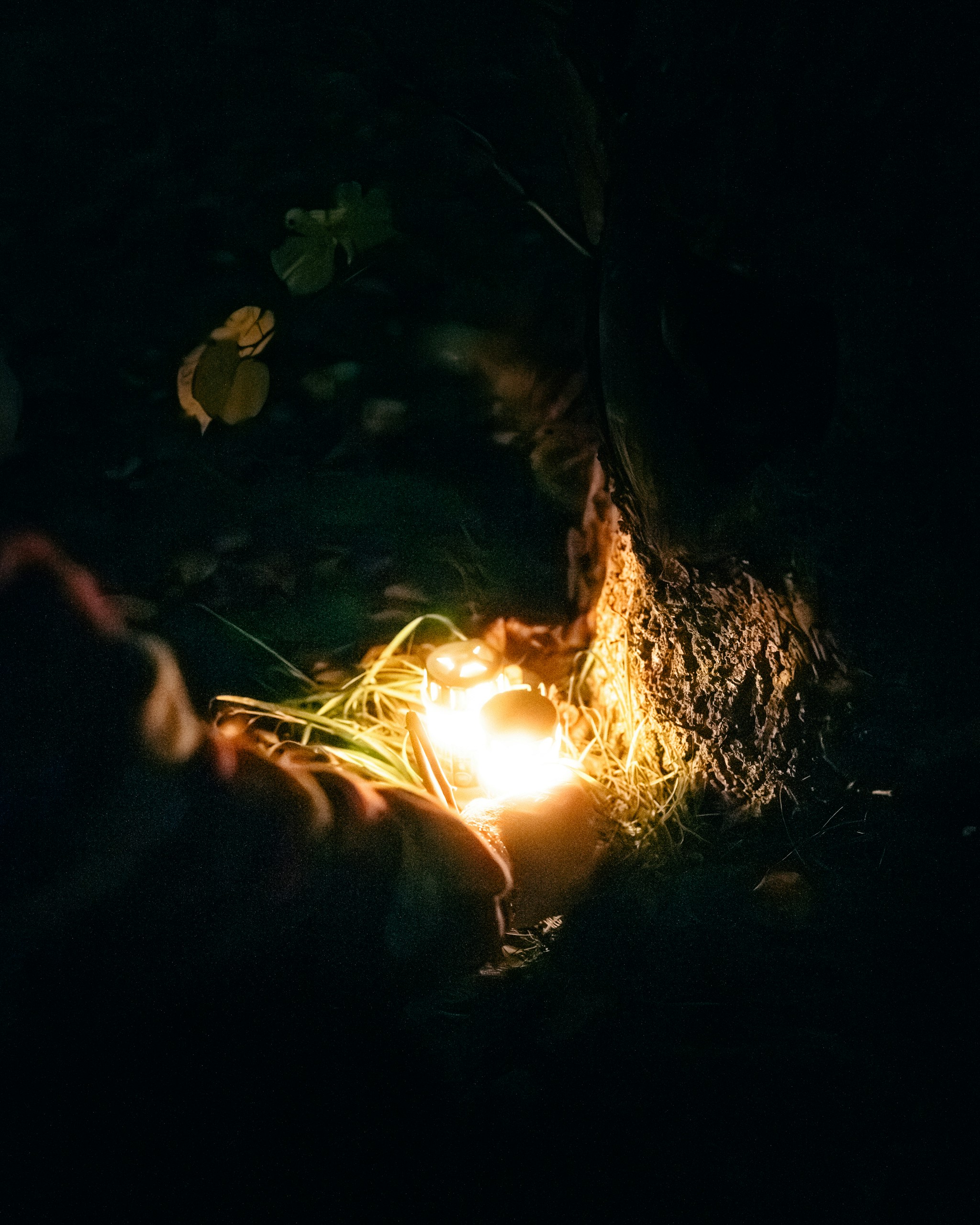 Lighting candles at Skogskyrkogården in remembrance of loved ones. 🕊️ Instagram: @withdanial