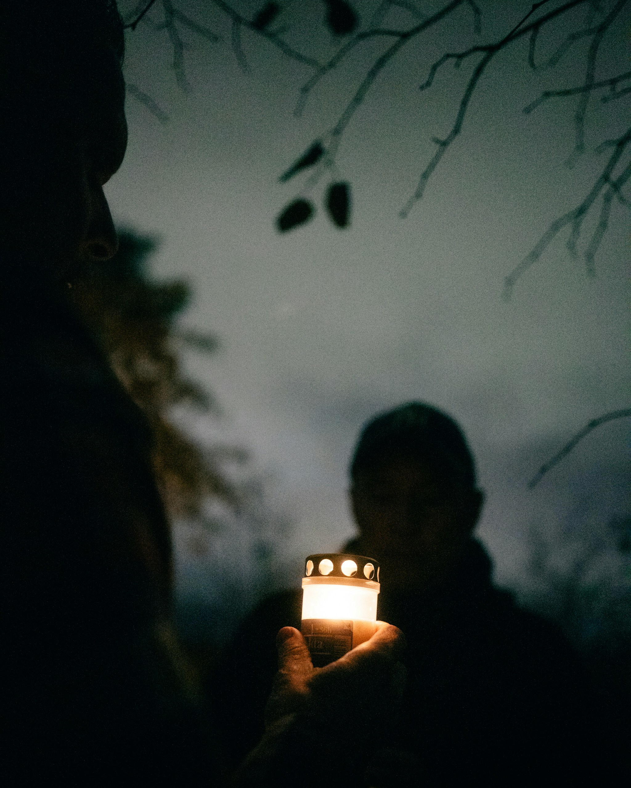 Lantern Glow in the Night: Silhouettes and Branches