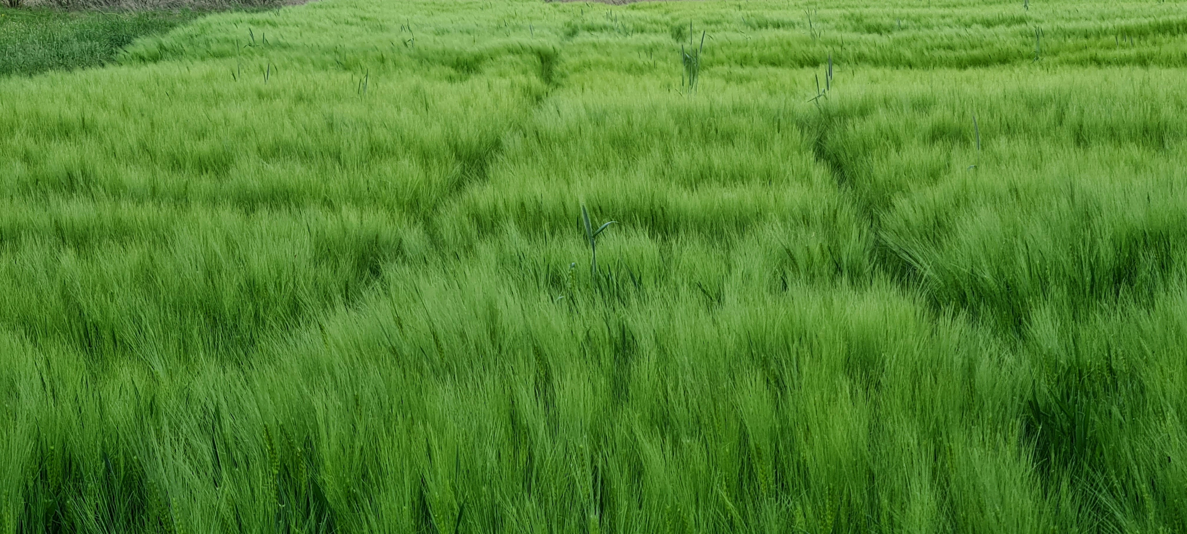 Photo by Szcze hoo with Samsung Galaxy Note20