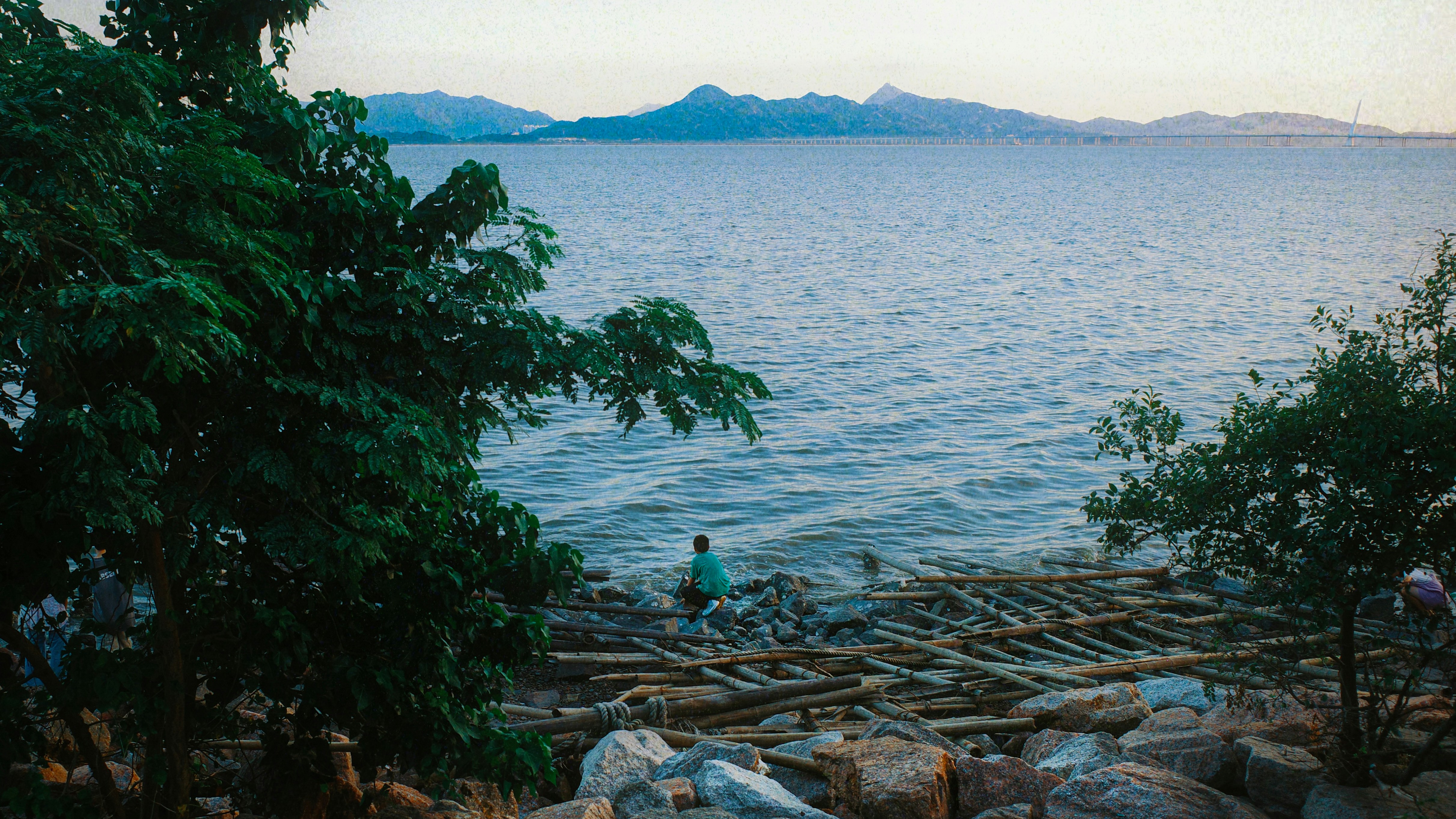 Turquoise Figure Among Driftwood on a Quiet Lakeshore