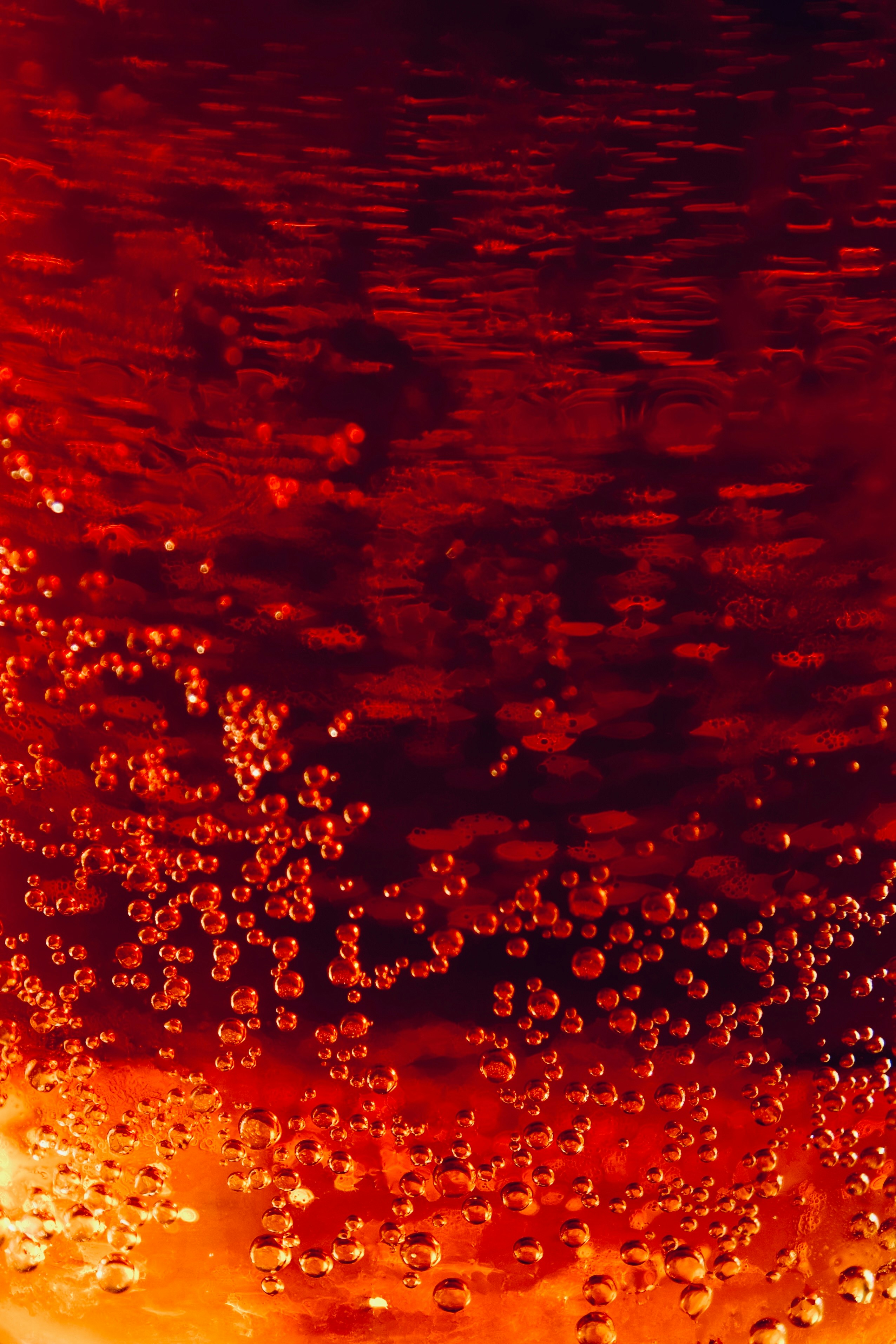 Photo by Alex He with Fujifilm X-T30 II