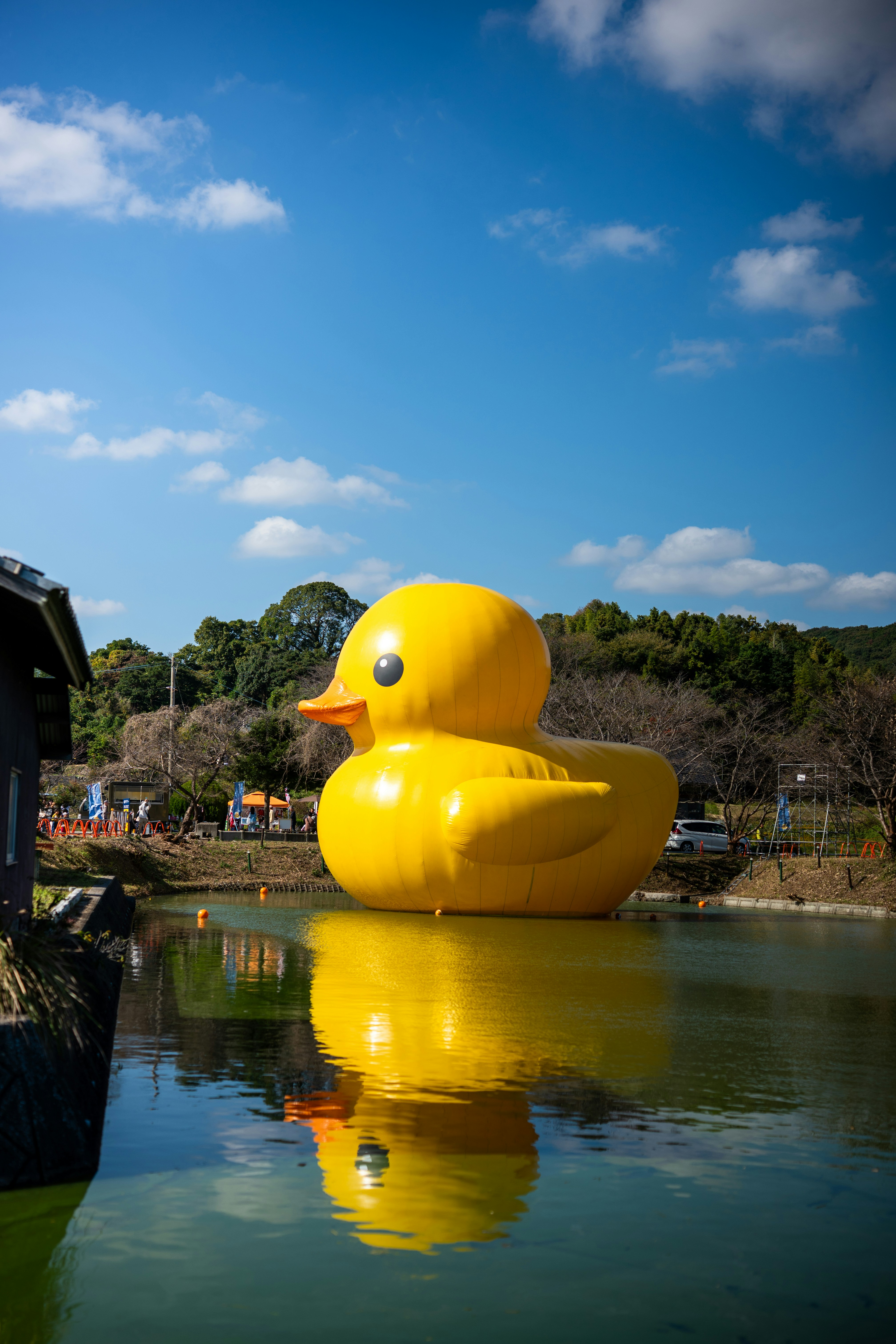 Giant Yellow Duck Floats Across a Calm Lakeside Scene