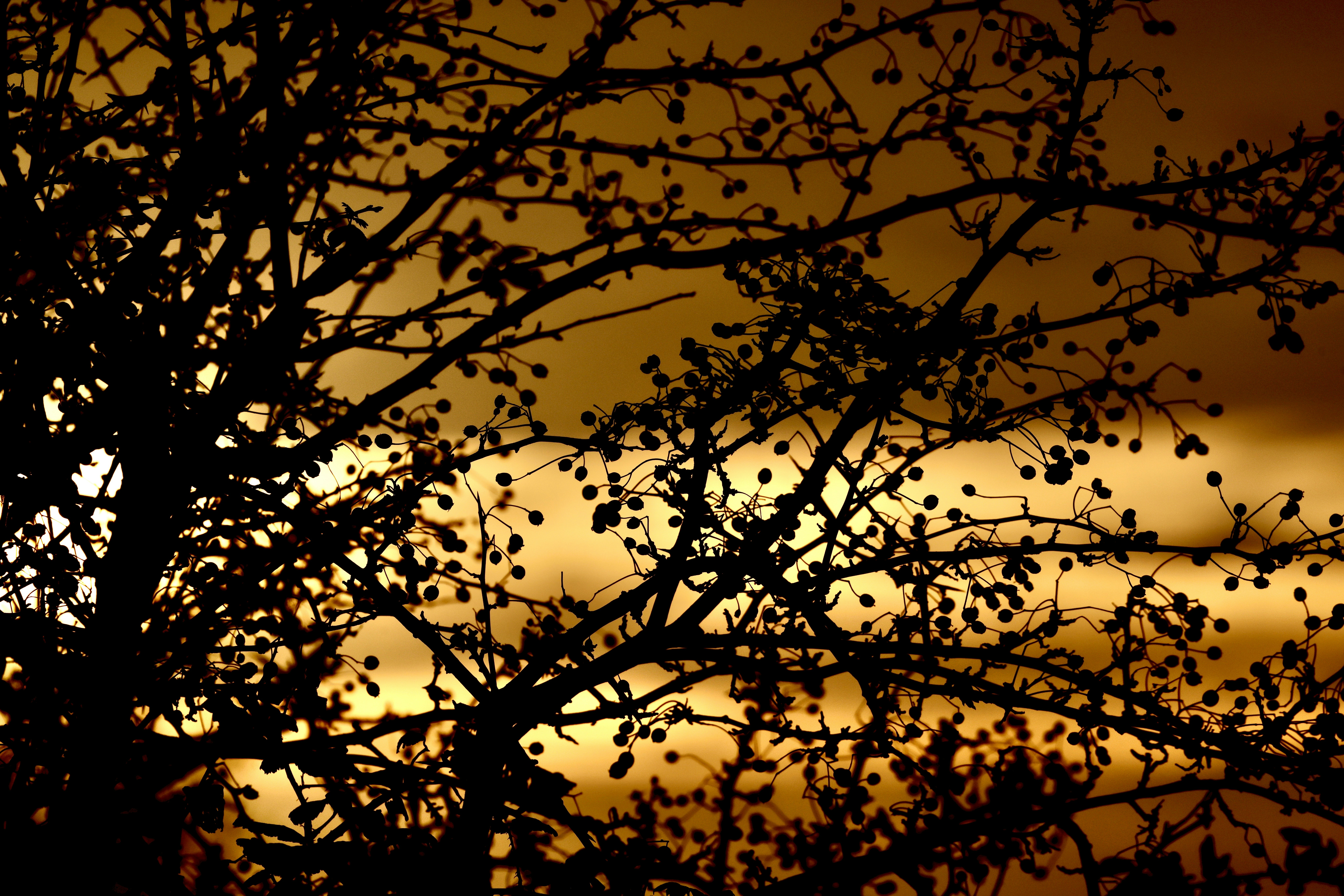 Photo by James Wainscoat with Canon EOS R5