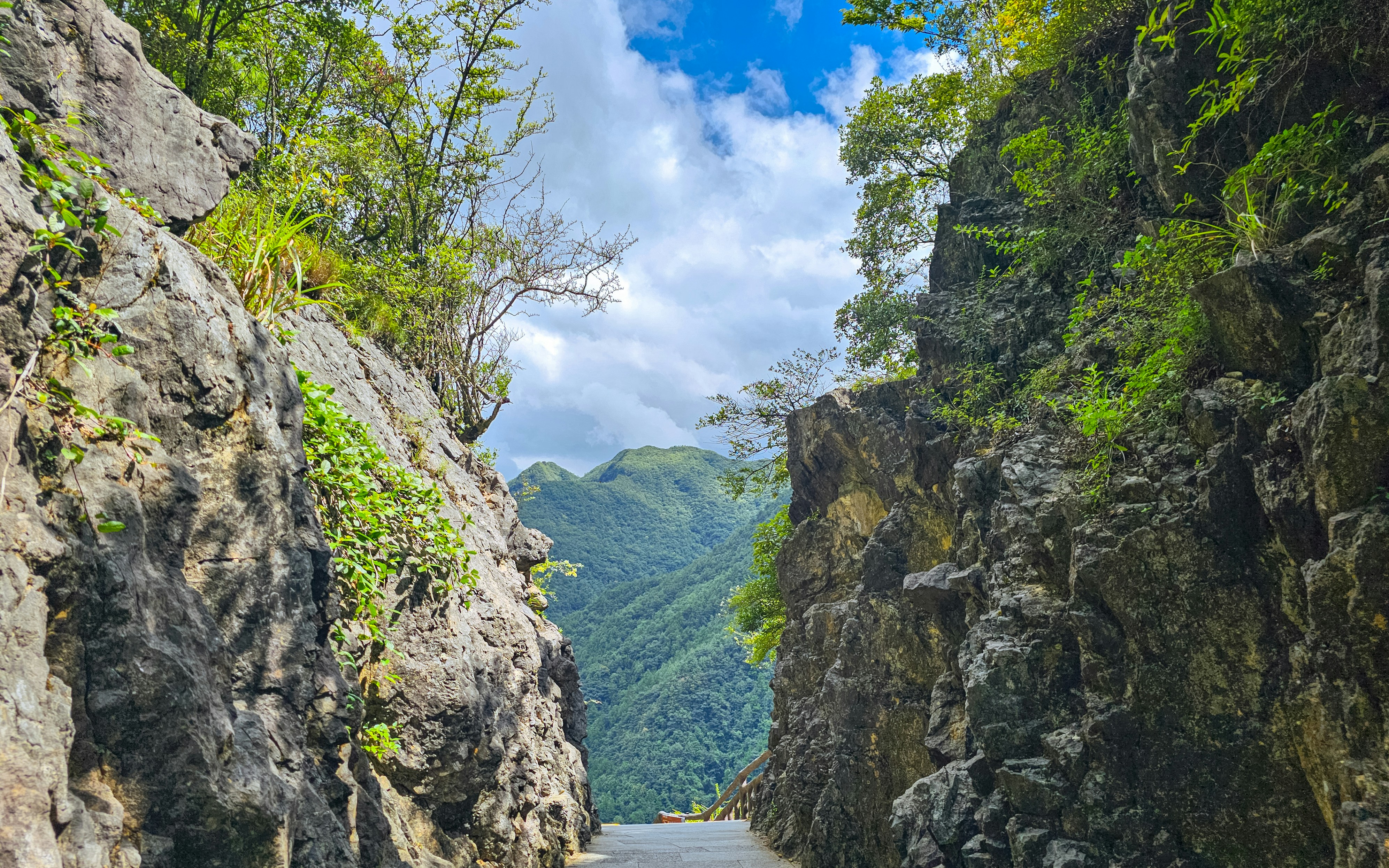 Between Stone Giants: A Narrow Canyon Framed by Verdant Cliffs
