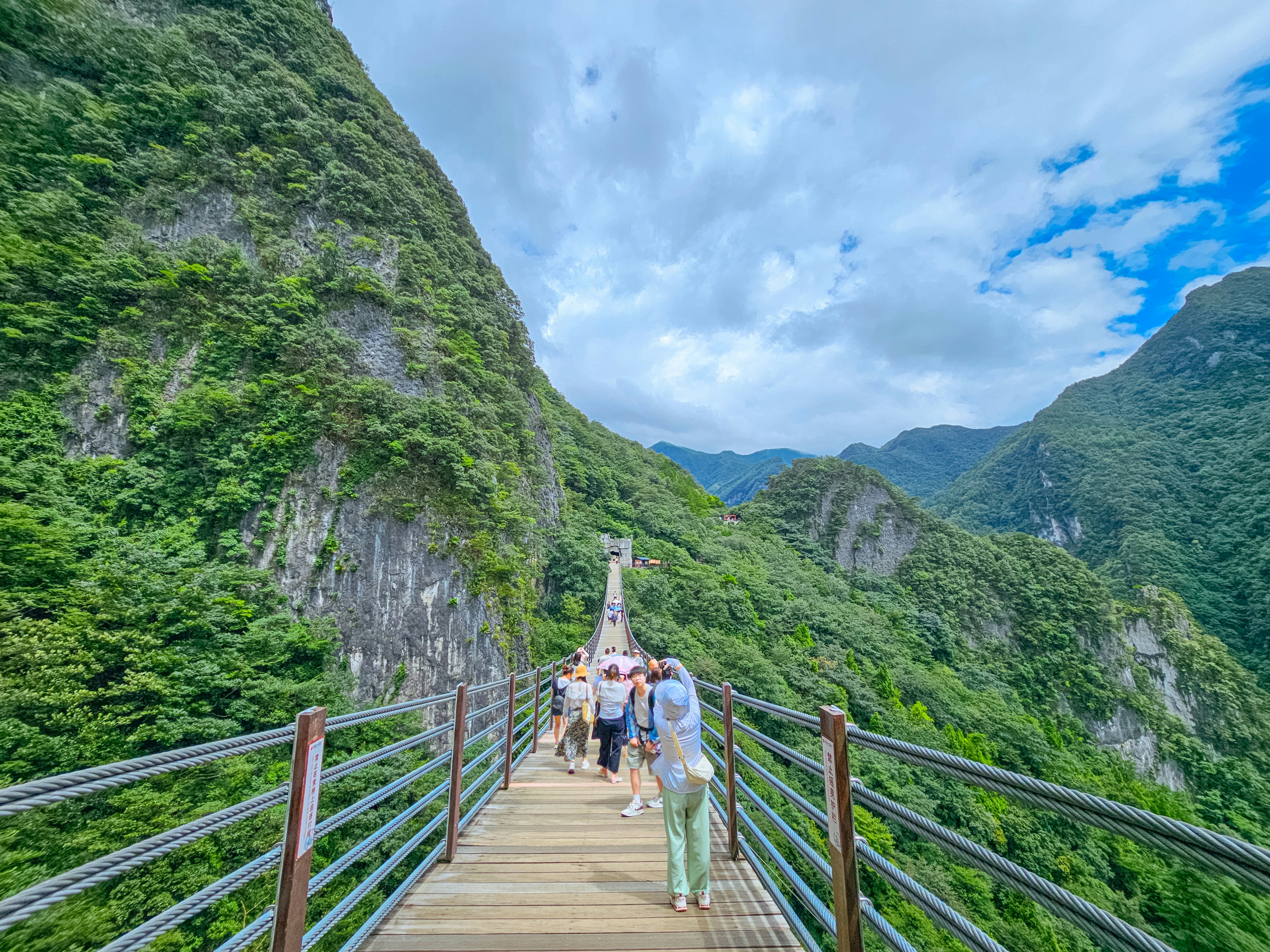 Verdant Skybridge: Hikers Traverse a Mountain Gorge Suspended Path