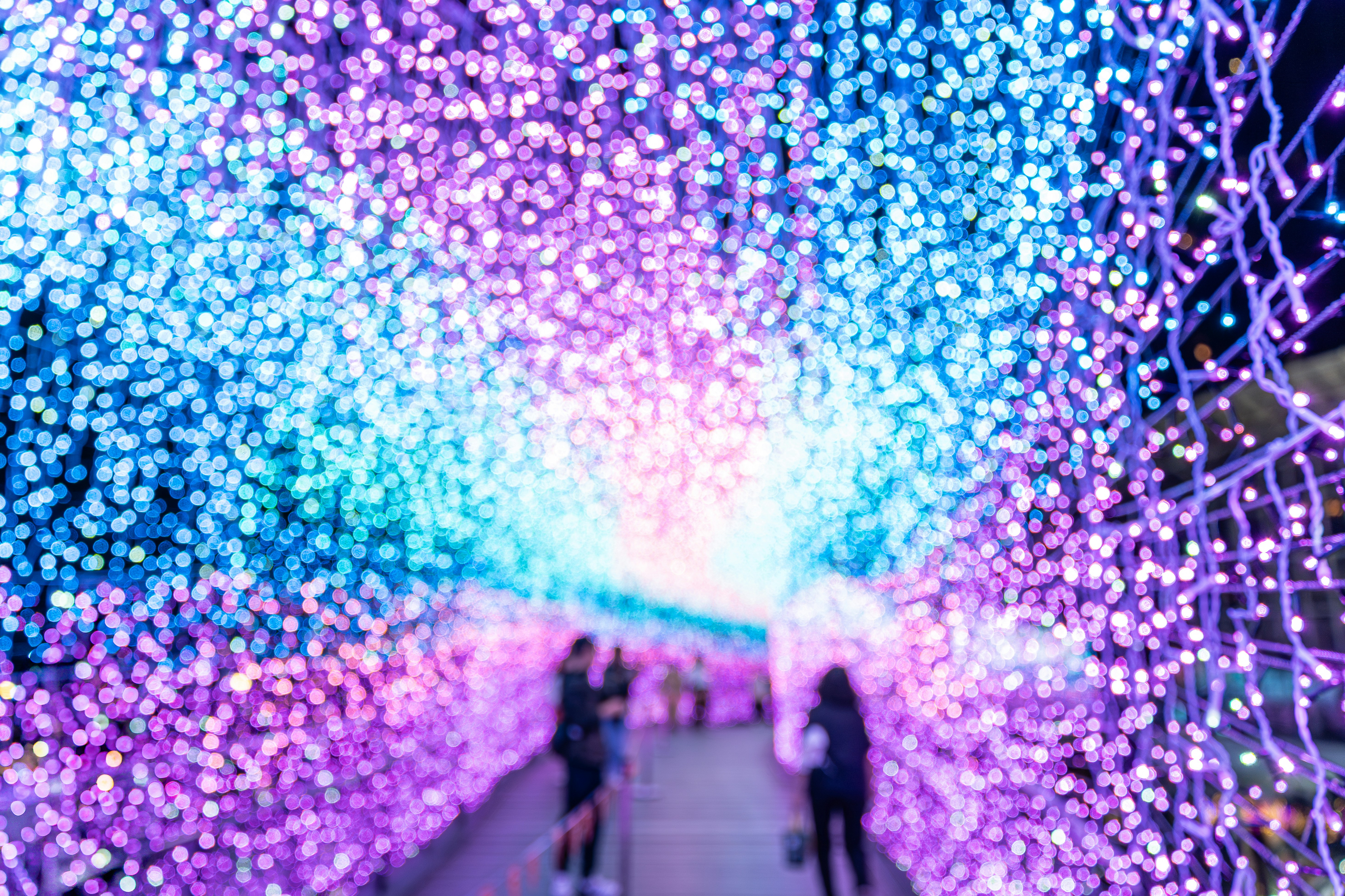 Photo by Winston Chen with Sony Alpha 7 III