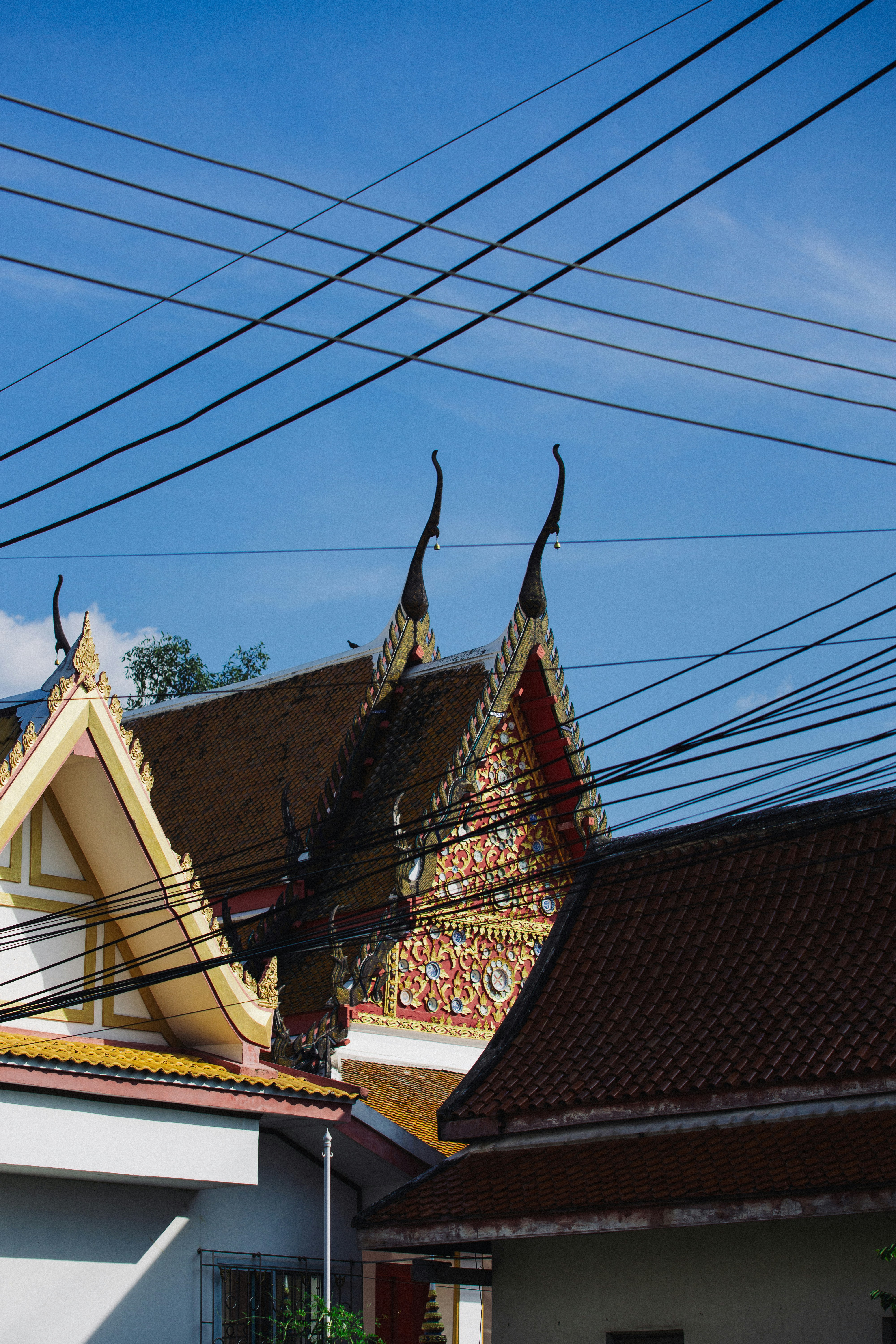 Photo by Honney Artkongharn with Sony Alpha 6000