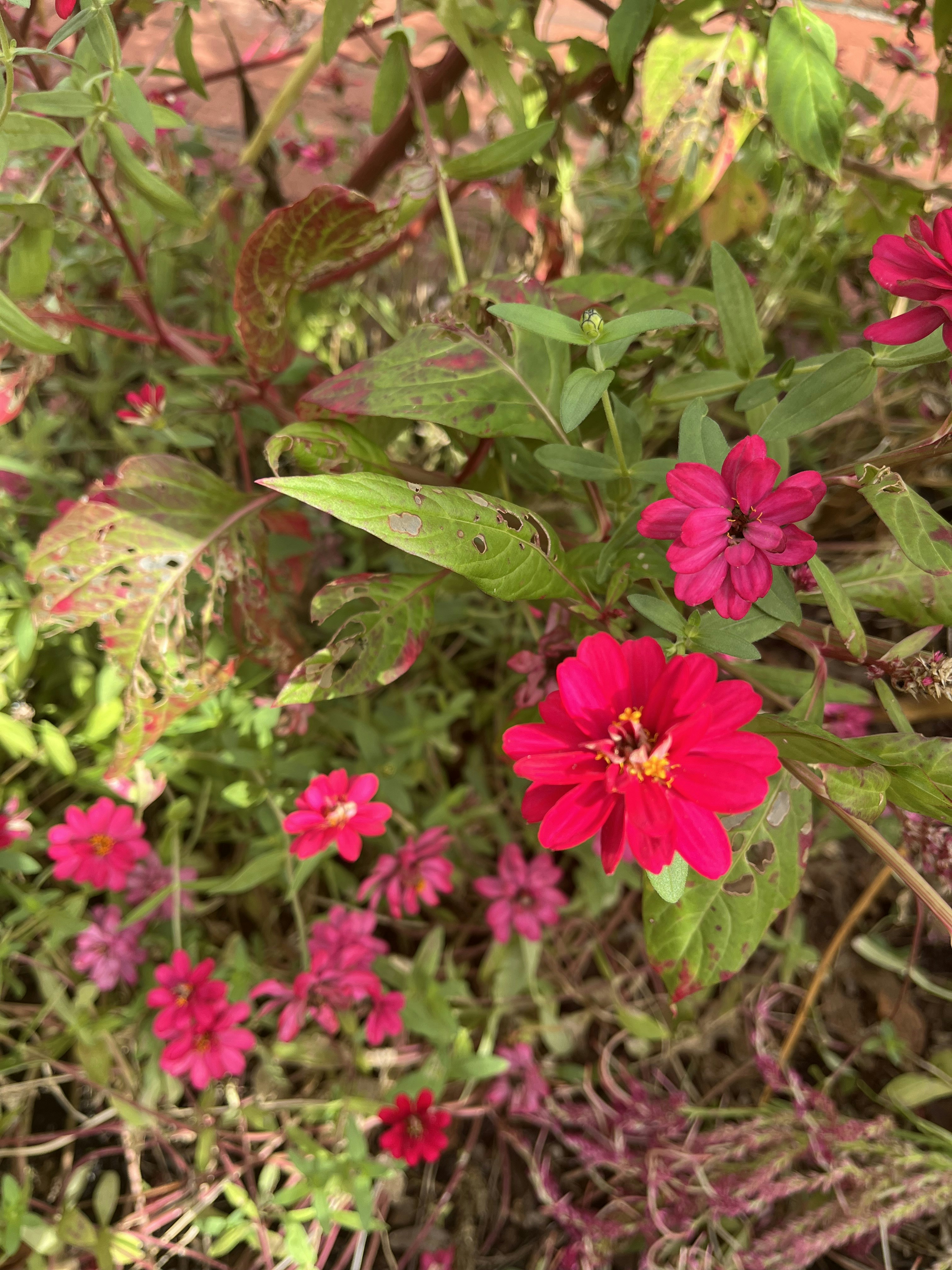 Photo by Kim Stewart with Apple iPhone 13