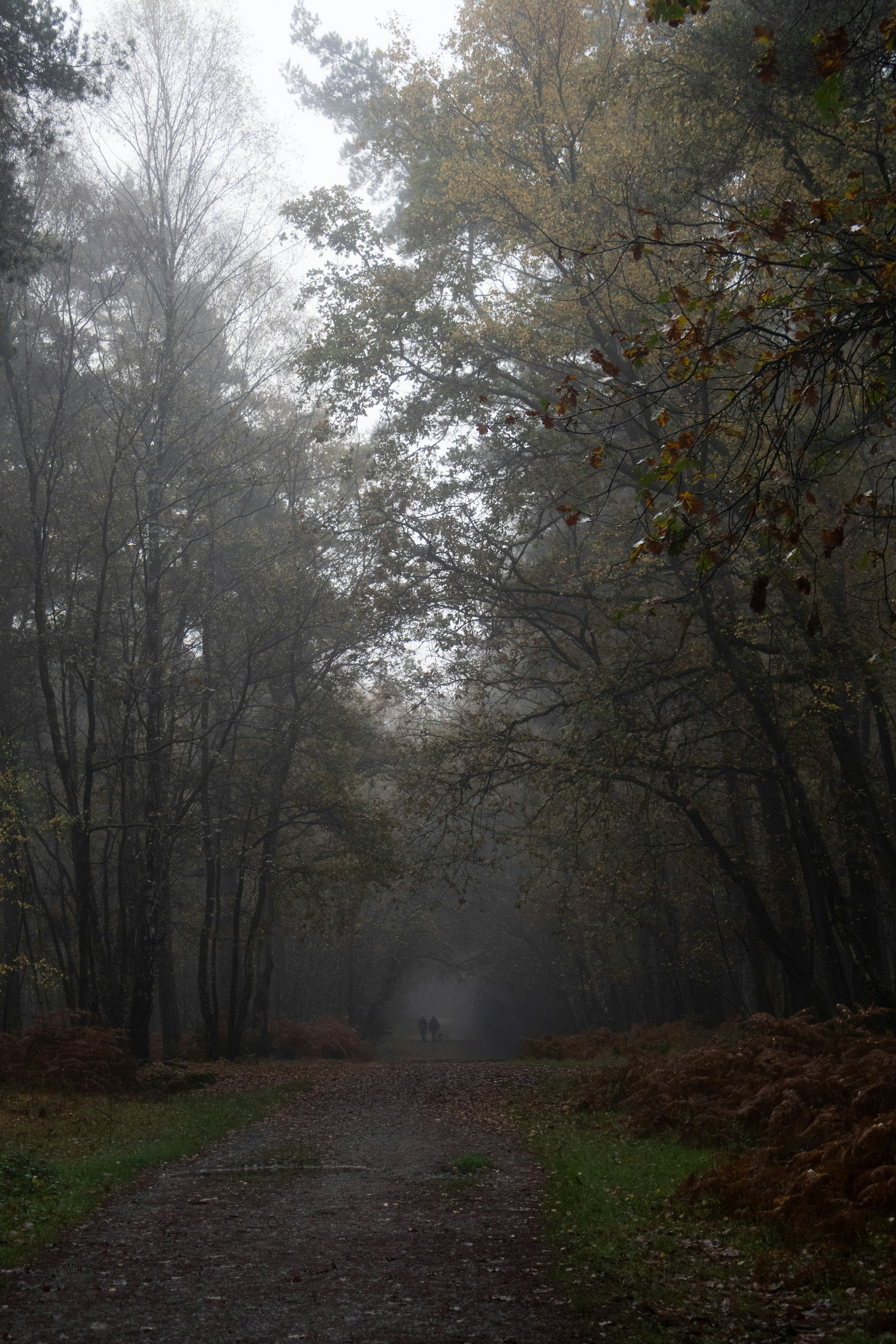 Photo by Tanya Barrow with Canon EOS R50