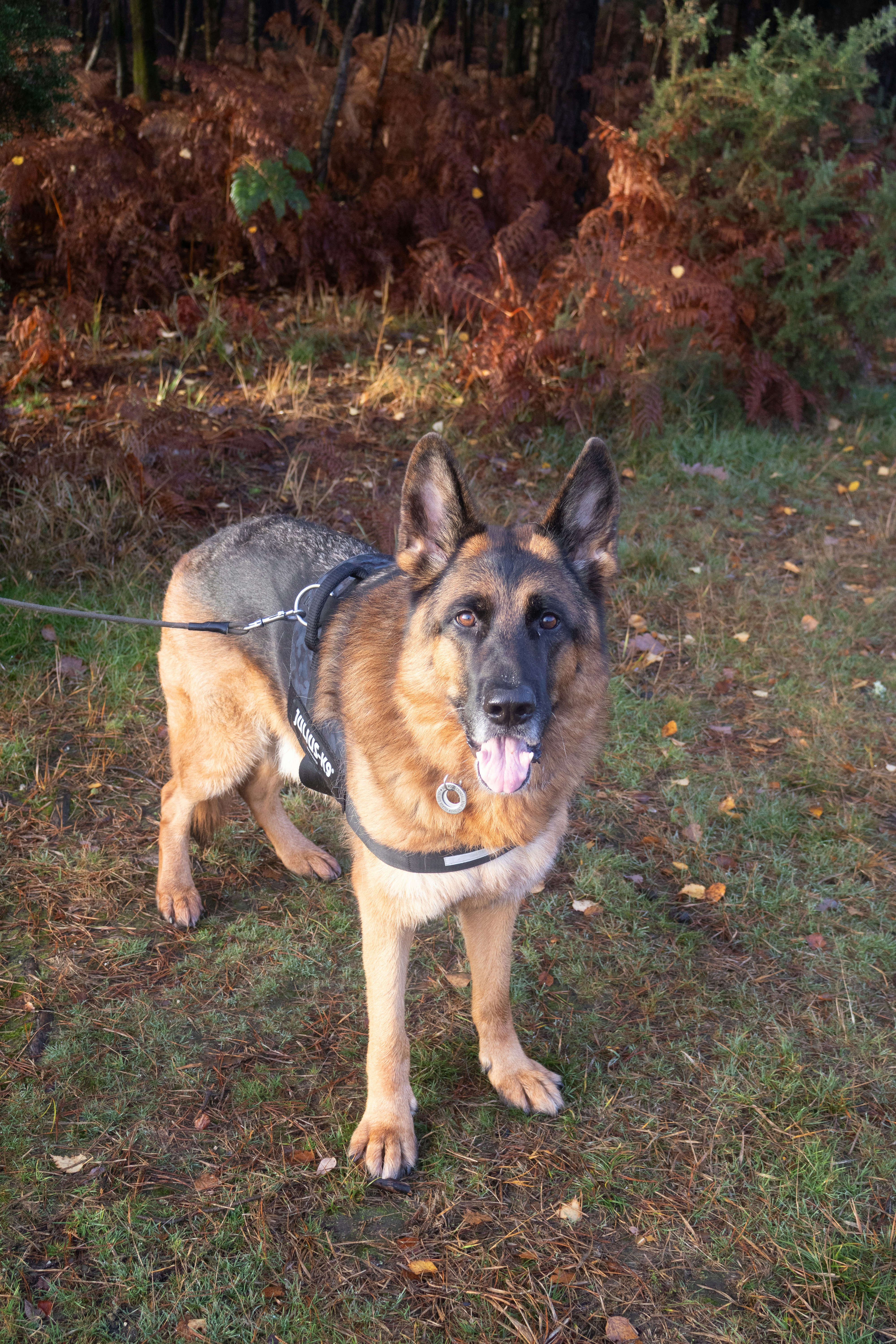 Photo by Tanya Barrow with Canon EOS R50