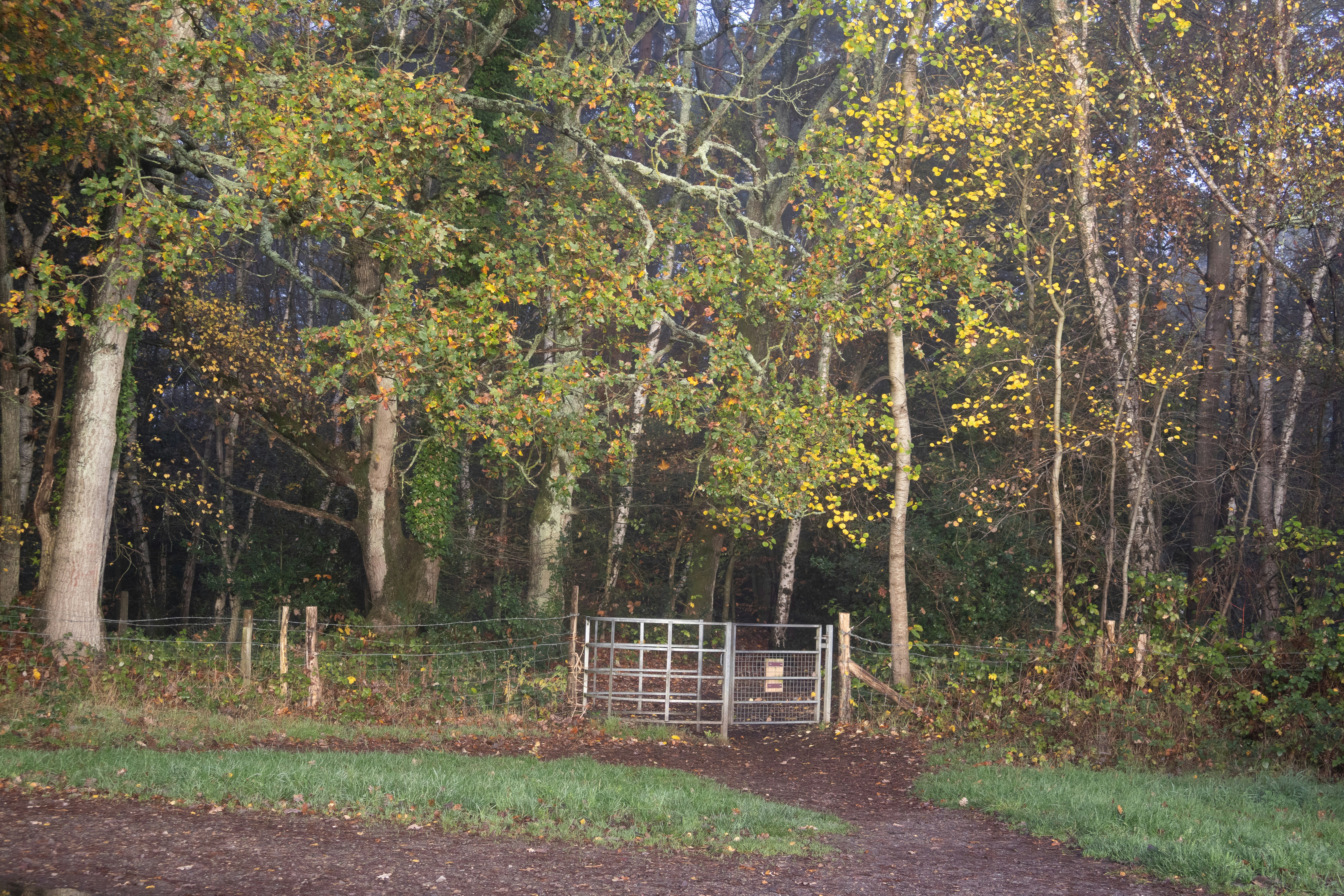 Photo by Tanya Barrow with Canon EOS R50